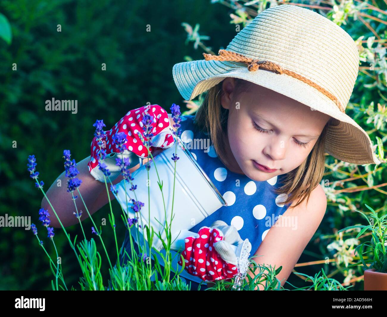 Cute girl watering herbs. Child taking care of plants. Kid with water ...
