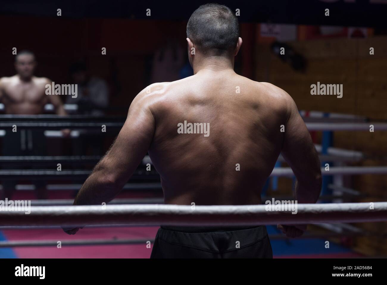 muscular professional kickboxer Stock Photo - Alamy