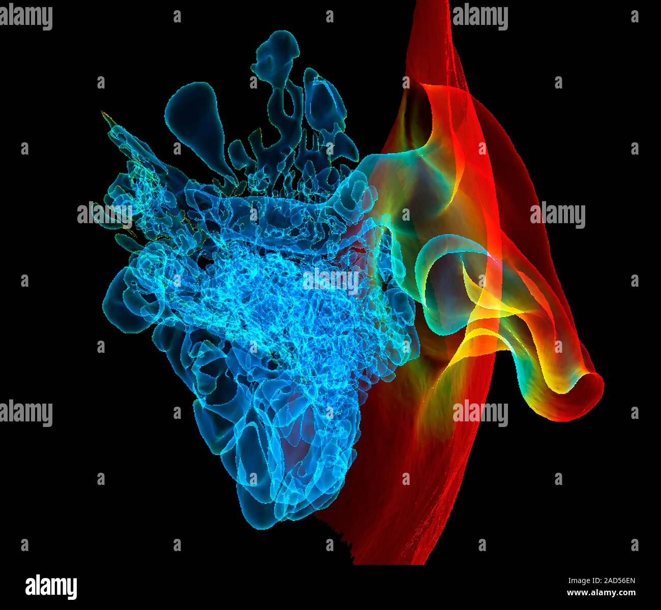 Human ear. Coloured 3D computed tomography (CT) scan of a normal human ...
