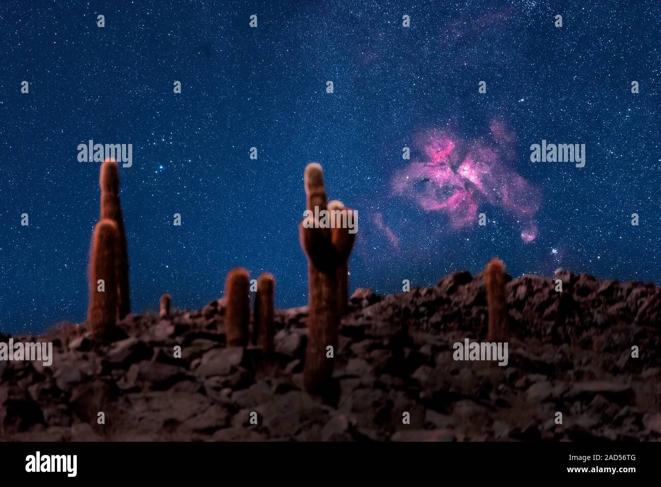 Carina Nebula over Atacama Desert. Carina Nebula (NGC 3372) in the ...