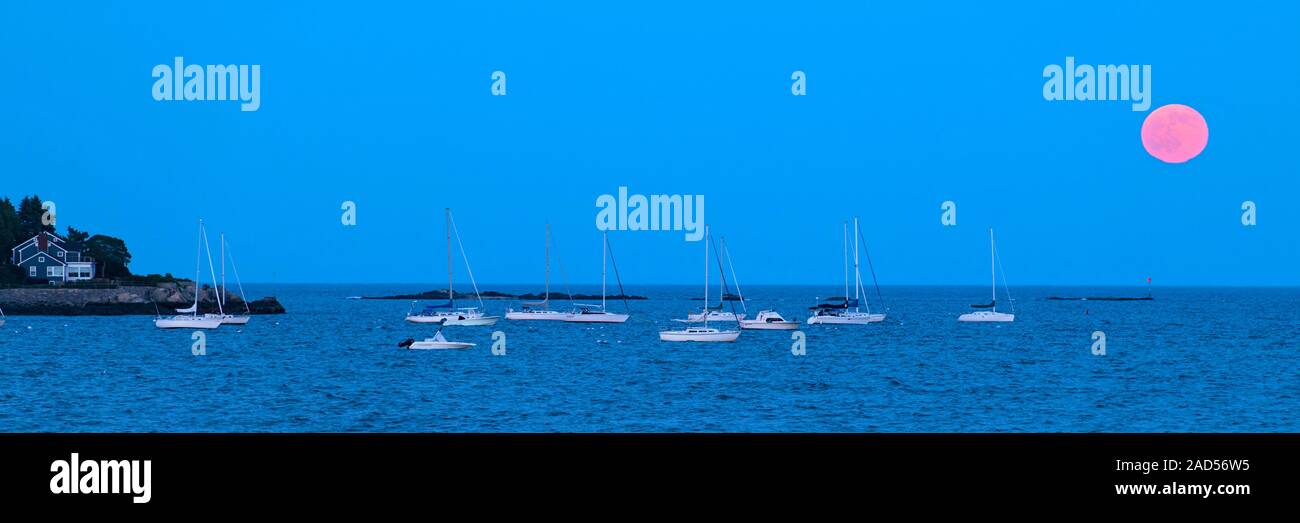 Strawberry moon. Panoramic image of a reddened rising full moon over ...