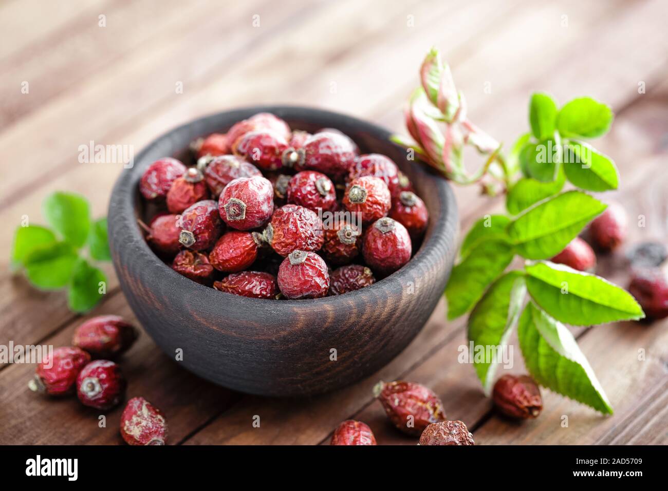 Dog rose or rosehip berries with leaves, dried briar Stock Photo - Alamy