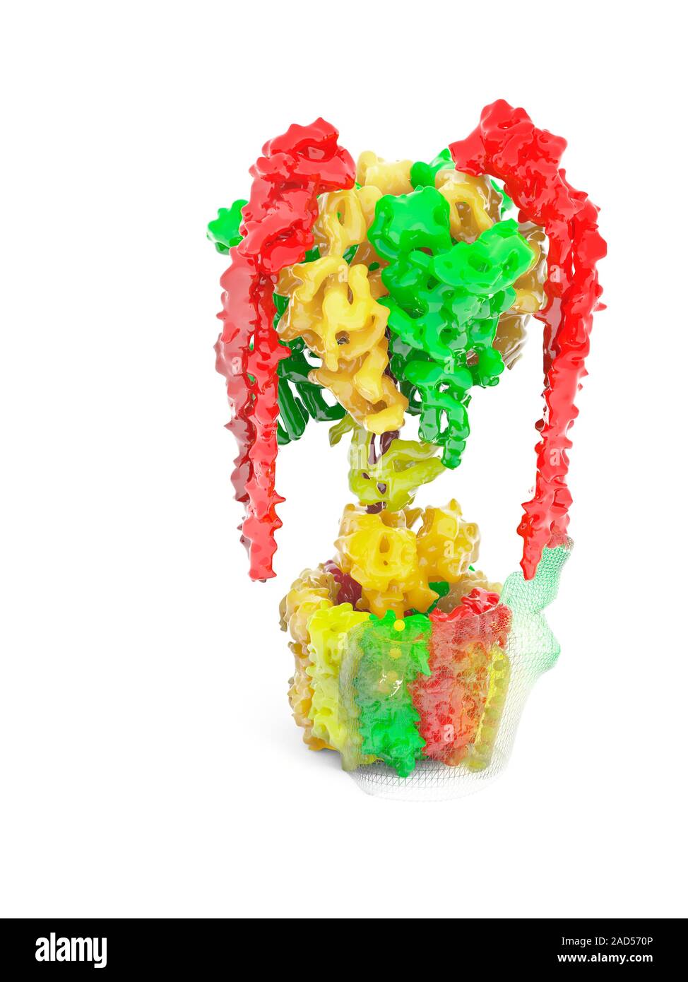 V Atpase Molecule Molecular Model Computer Illustration Showing The Molecular Structure Of A