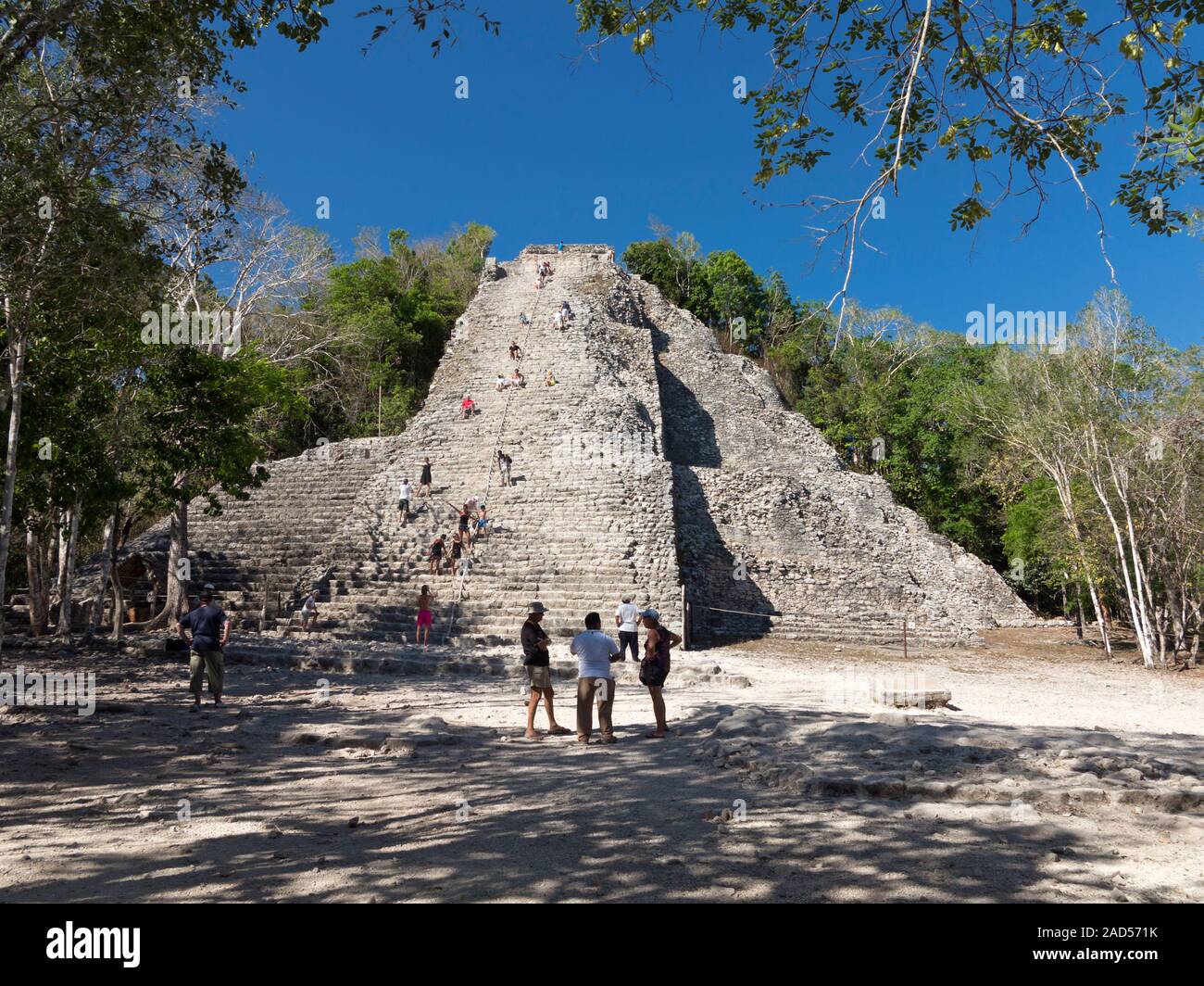 Nohoch Mul Pyramid, Coba Archaeological Ruins, Quintana Roo, Yucatan ...