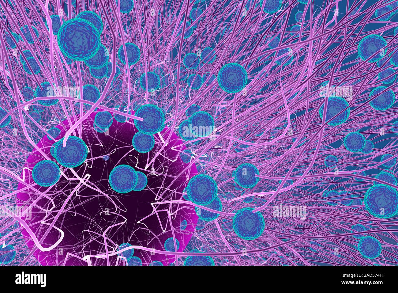 Enzyme-containing nanoparticle. Illustration of the structure of a ...