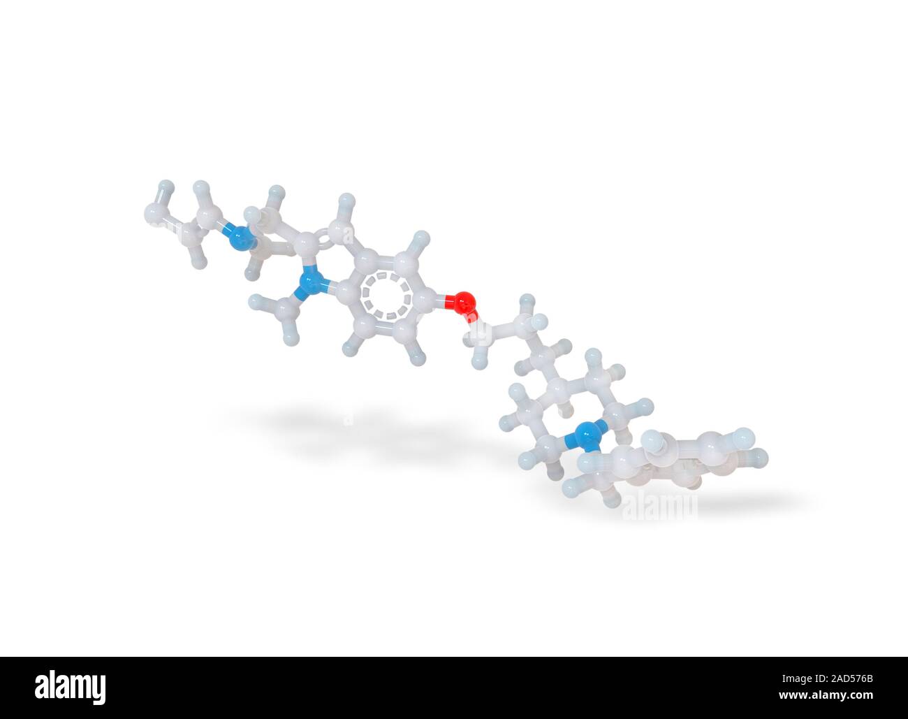 Monoamine oxidase and inhibitor complex, molecular model. Computer ...