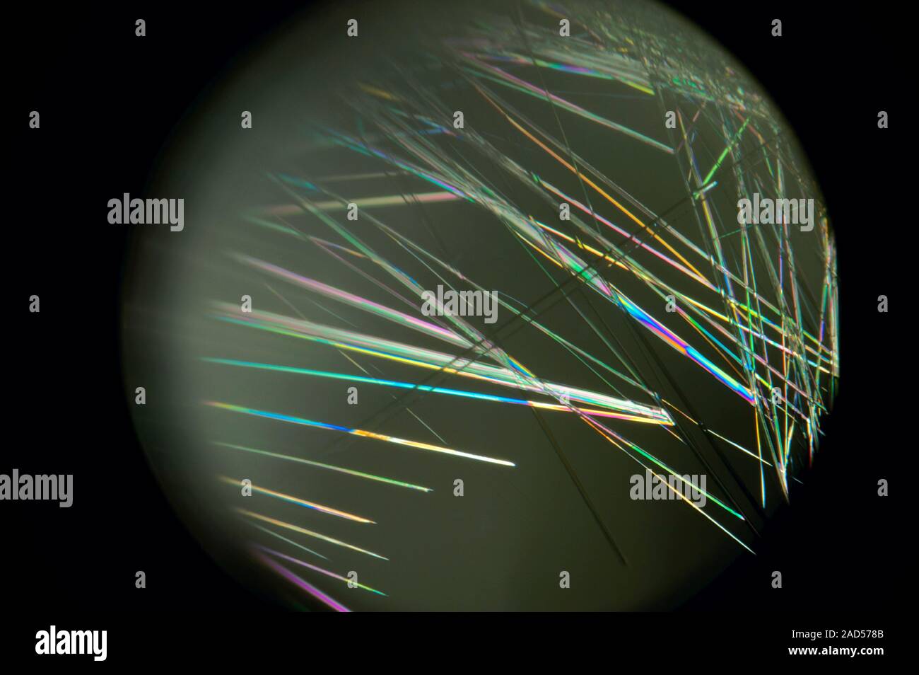 Needle-shaped crystals of a pharmaceutical substance seen under a ...