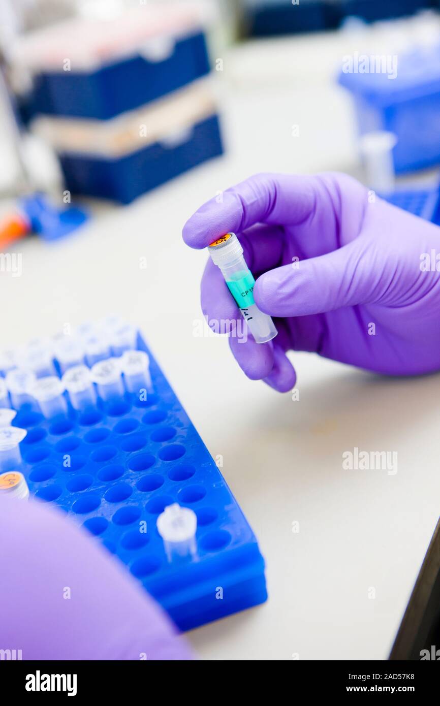 Handling DNA samples. Analysis of DNA (deoxyribonucleic acid) samples ...