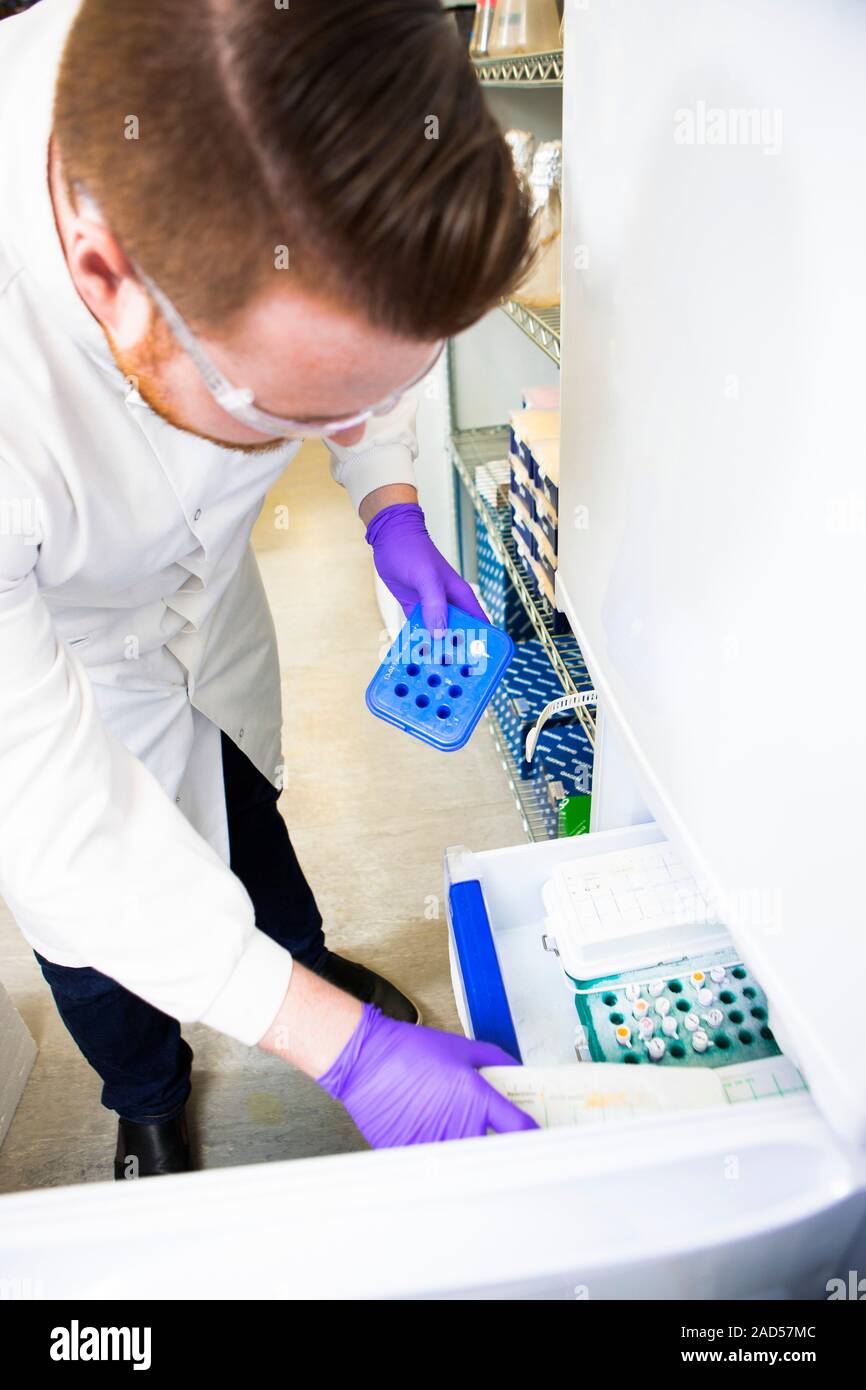 Freezing DNA samples. Samples of DNA (deoxyribonucleic acid) being ...