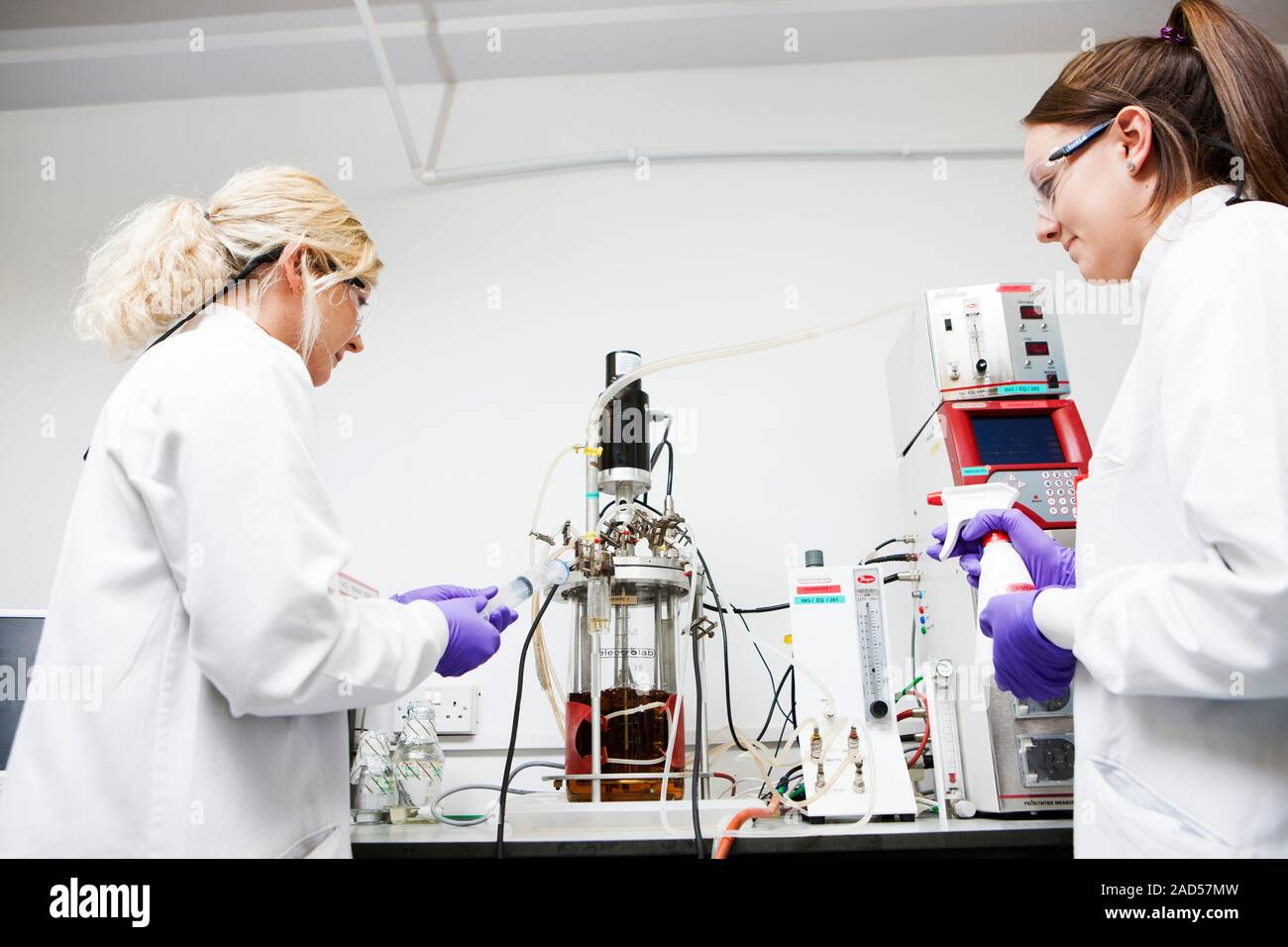 Laboratory fermentation. Researchers working with a fermentation unit ...