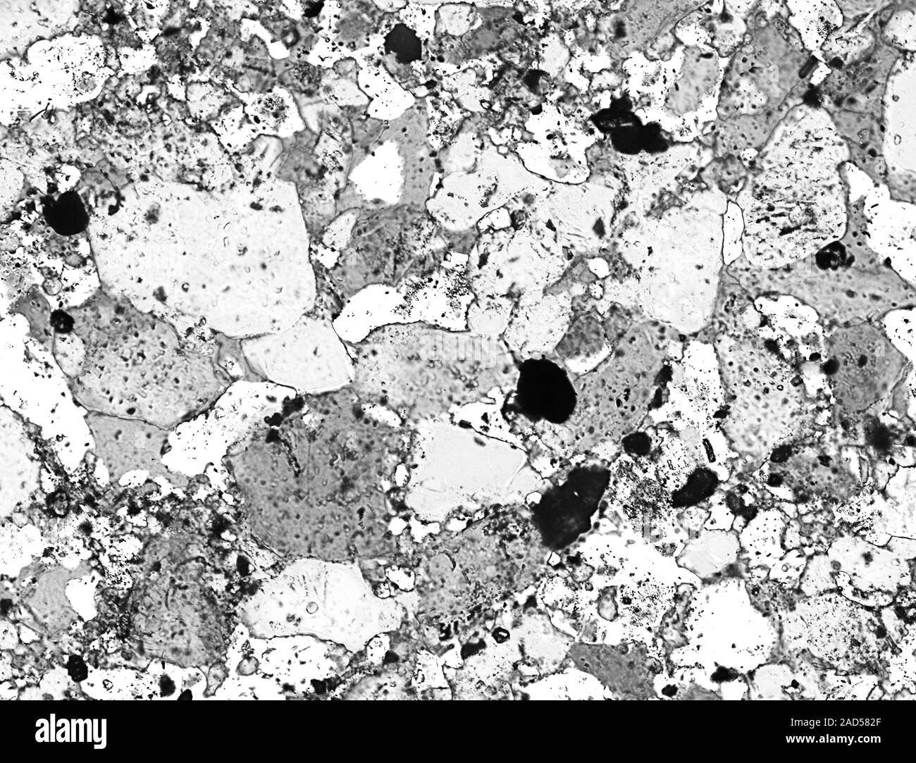 Bright field light micrograph of a thin section of ganister.A ganister ...
