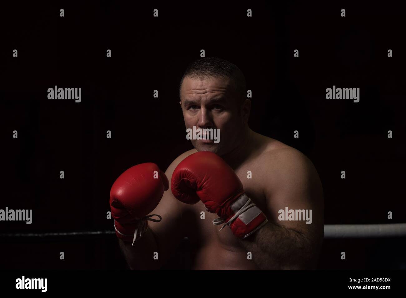 Pro boxing training hi-res stock photography and images - Alamy