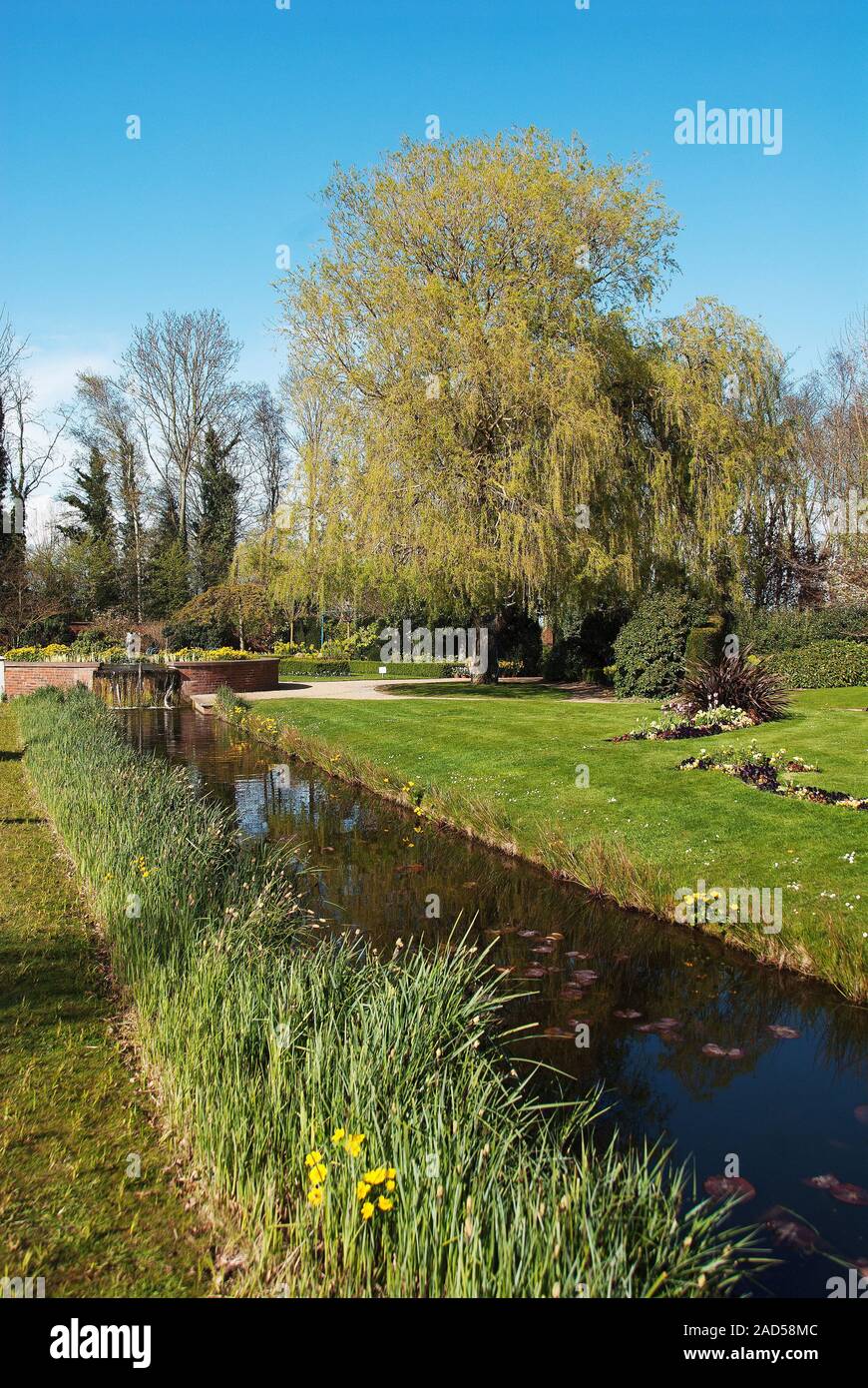 A balmy day in Springfields Festival Gardens Stock Photo - Alamy