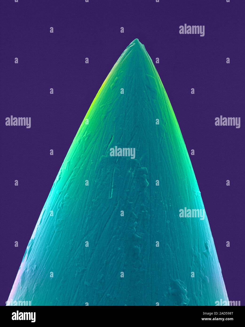 Acupuncture needle tip, coloured scanning electron micrograph (SEM). In ...