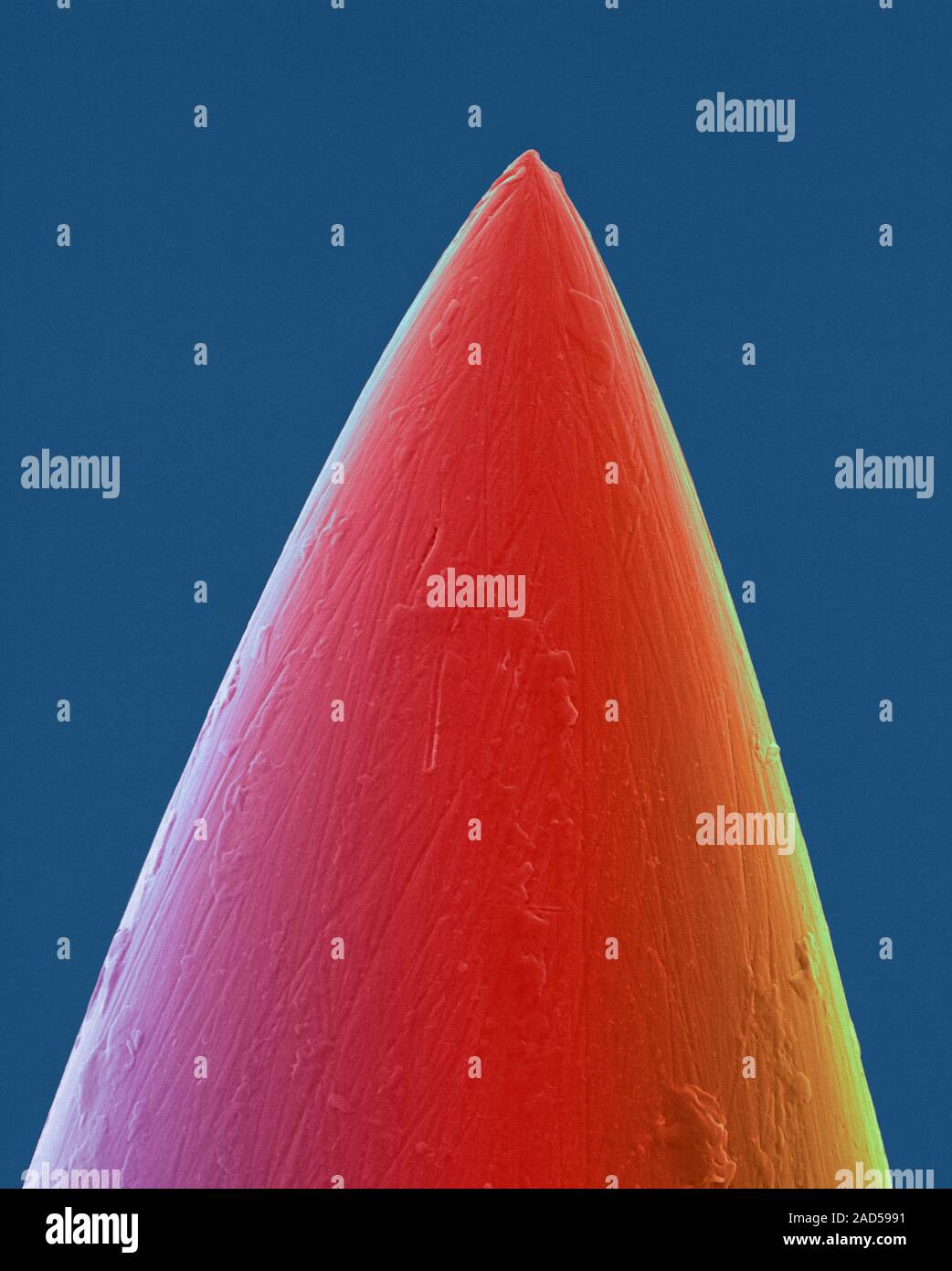 Acupuncture needle tip, coloured scanning electron micrograph (SEM). In ...