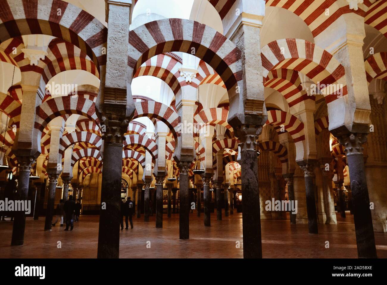 Forest of columns at the Mosque Cathedral of Cordoba Stock Photo - Alamy