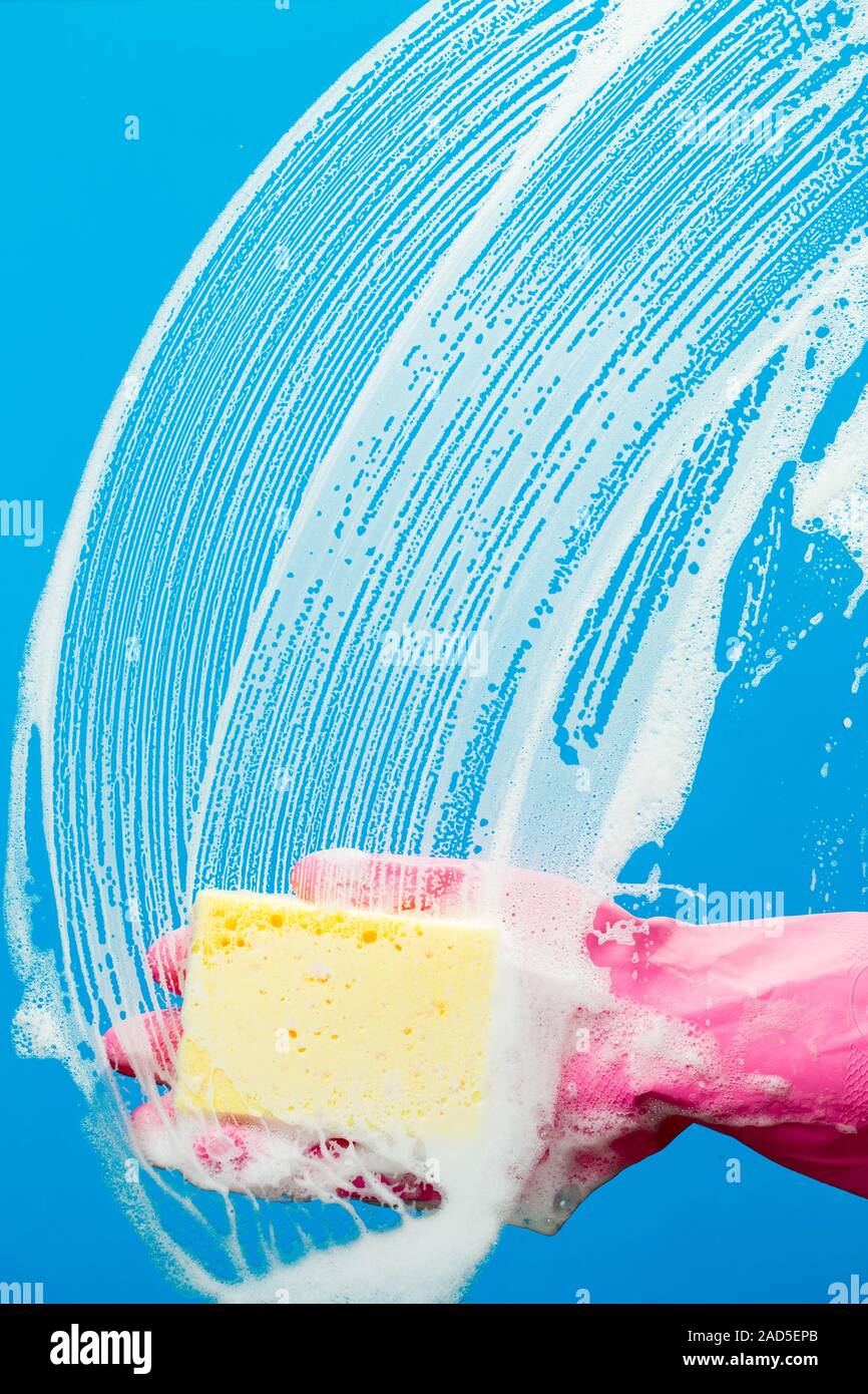 Glass sponge hi-res stock photography and images - Alamy