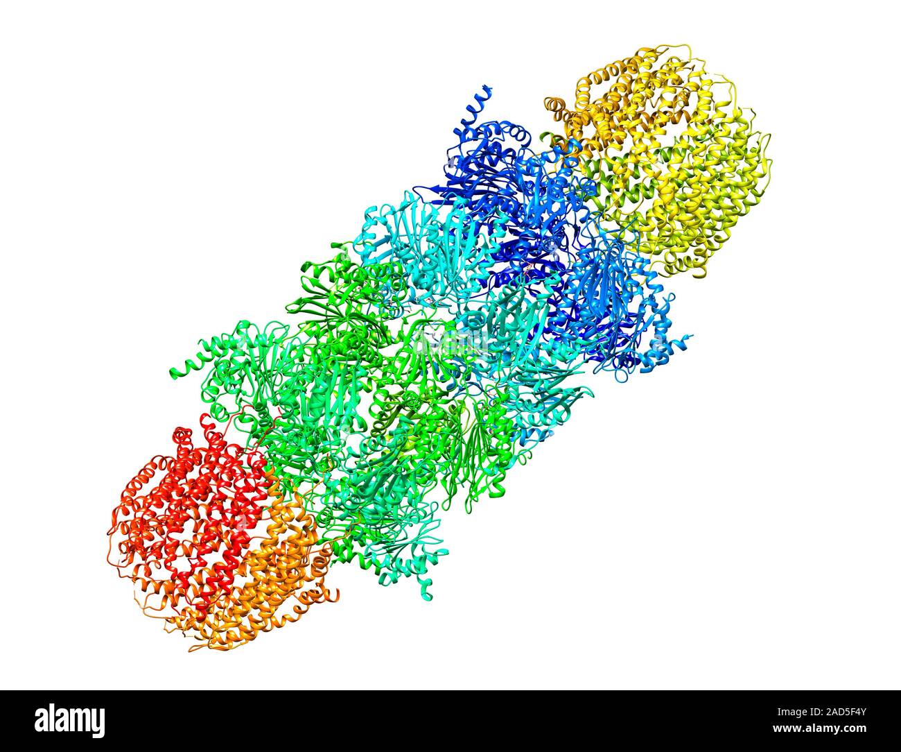 Proteasome. Molecular model of the 20S proteasome from yeast in complex ...