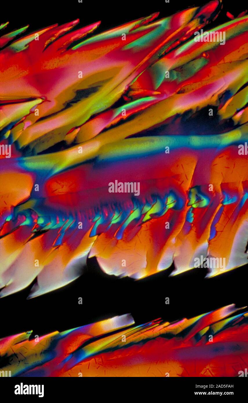 Light micrograph (LM) of Tetracycline (antibiotic) crystals ...