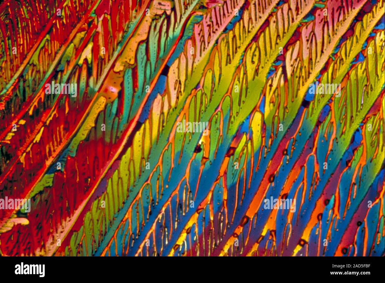 Light micrograph (LM) of Dopamine crystals. Dopamine is a ...