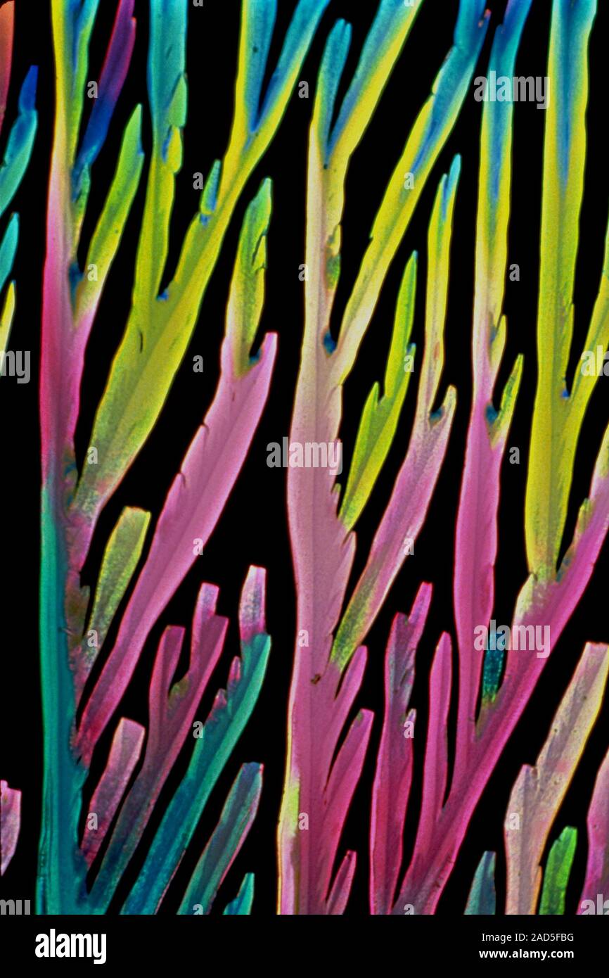 Light micrograph (LM) of Lactose and lactic acid crystals. Lactose is a ...