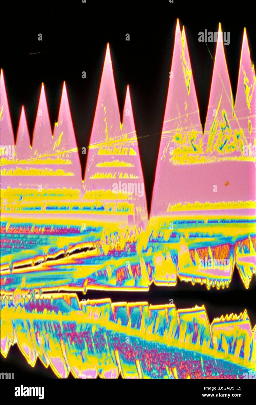 Light micrograph (LM) of Epinephrine (adrenaline, adrenalin) crystals ...
