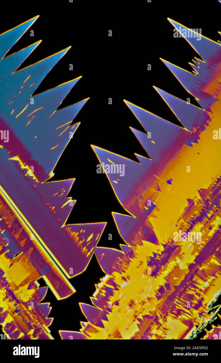 Light micrograph (LM) of Serotonin crystals. Serotonin (5 ...