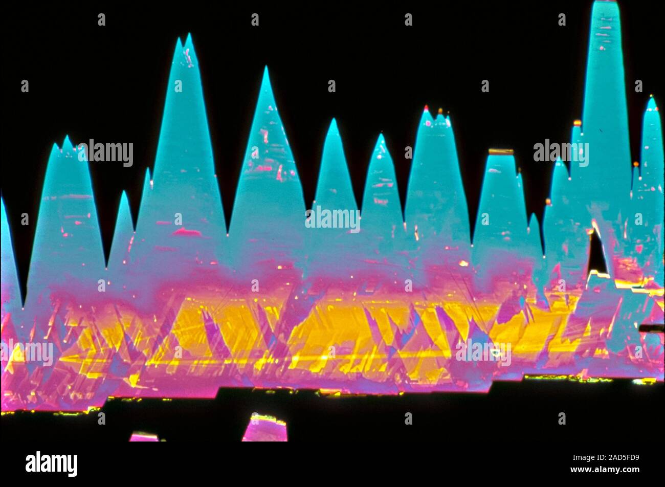 Light micrograph (LM) of Serotonin crystals. Serotonin (5 ...