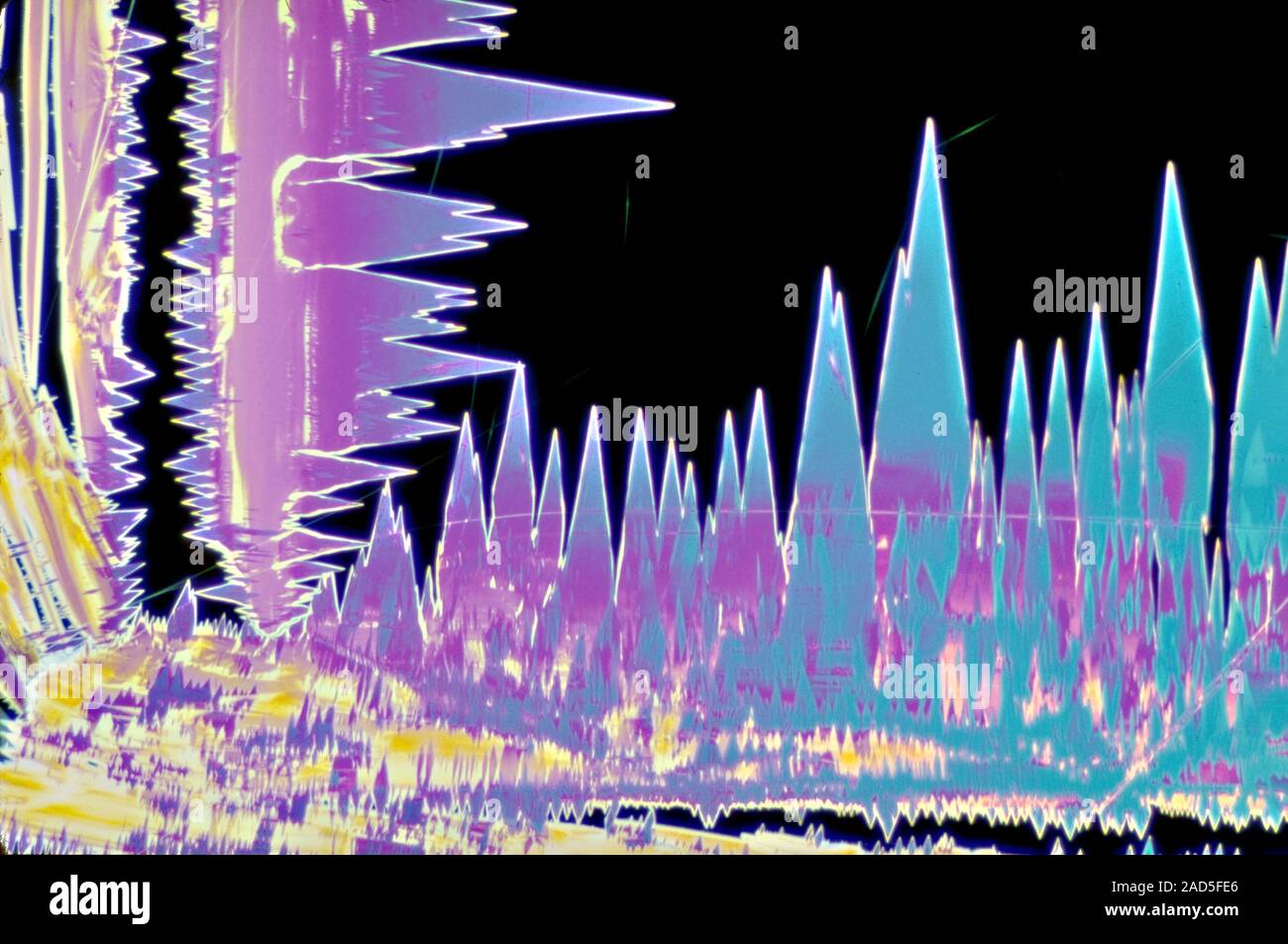 Light micrograph (LM) of Vitamin B9 (folic acid) crystals. Vitamin B9 ...