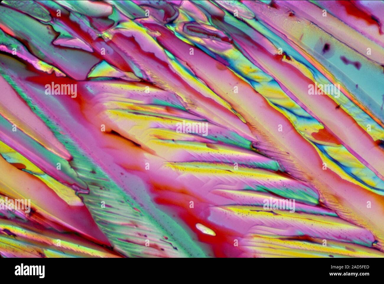 Light micrograph (LM) of Diazinon (insecticide) crystals. Diazinon is a ...