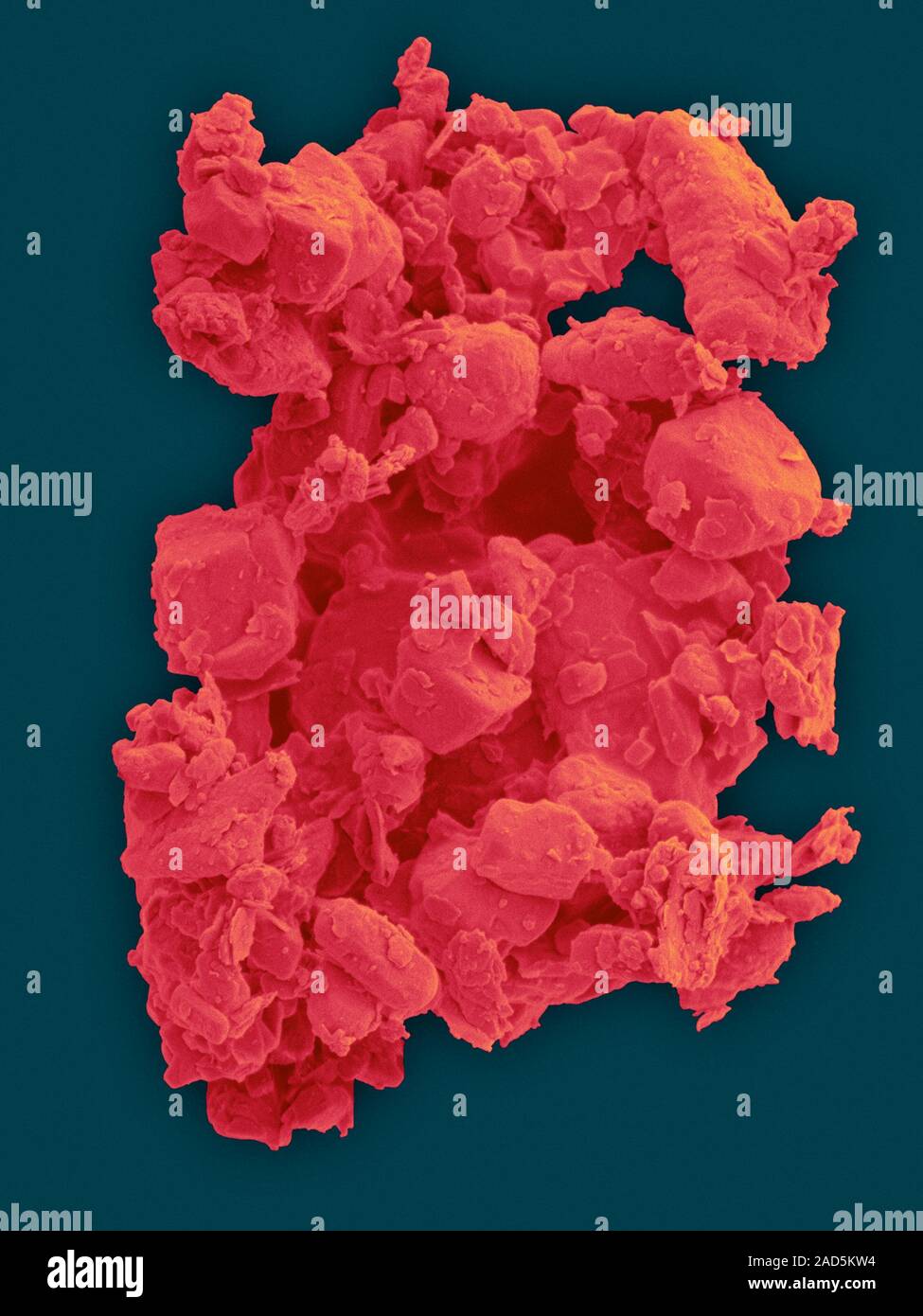 Coloured scanning electron micrograph (SEM) of Chalk dust (anti-dust ...