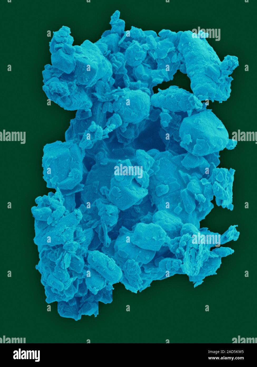 Coloured scanning electron micrograph (SEM) of Chalk dust (anti-dust ...