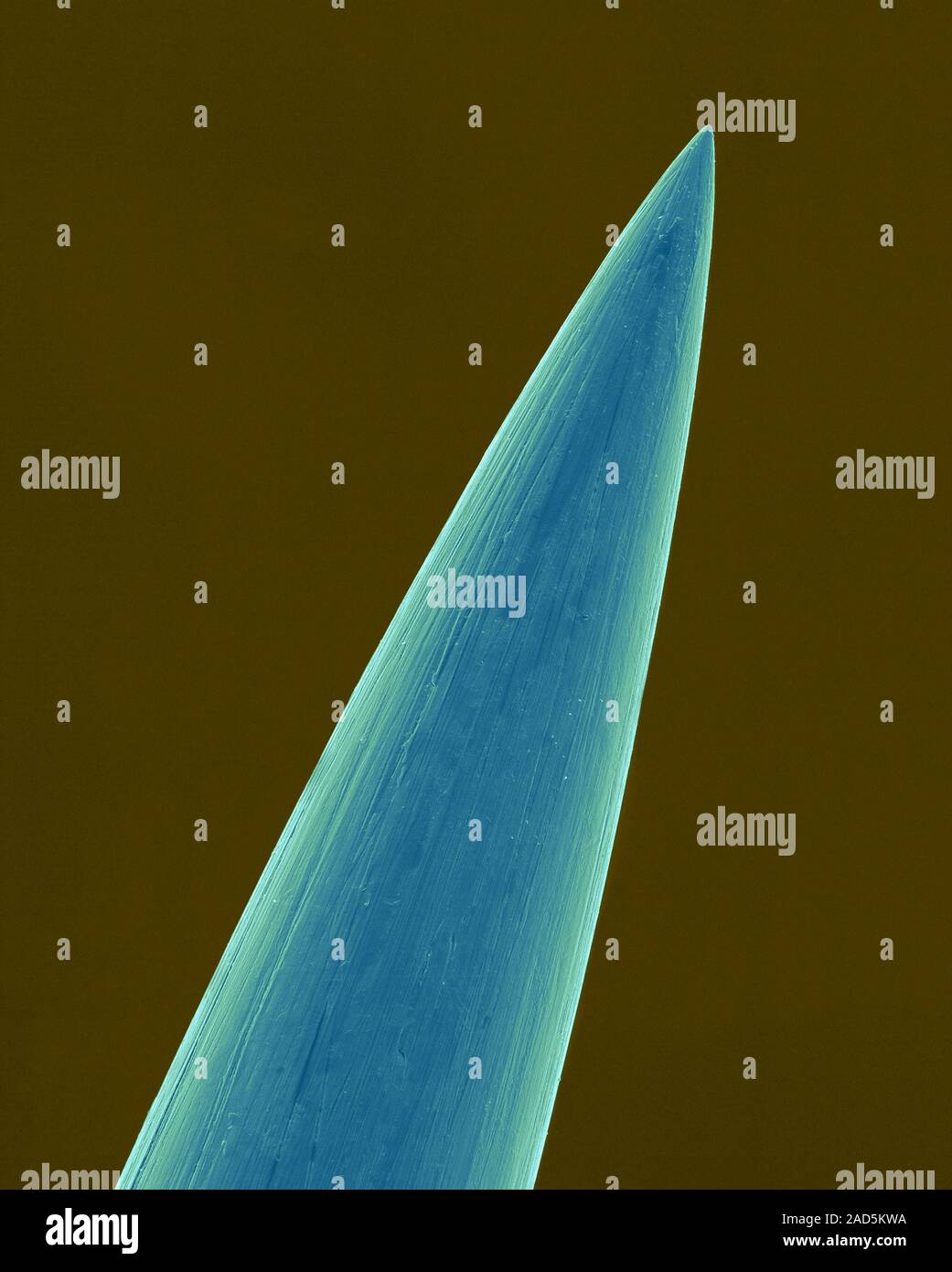 Coloured scanning electron micrograph (SEM) of Tip of a tattoo needle ...