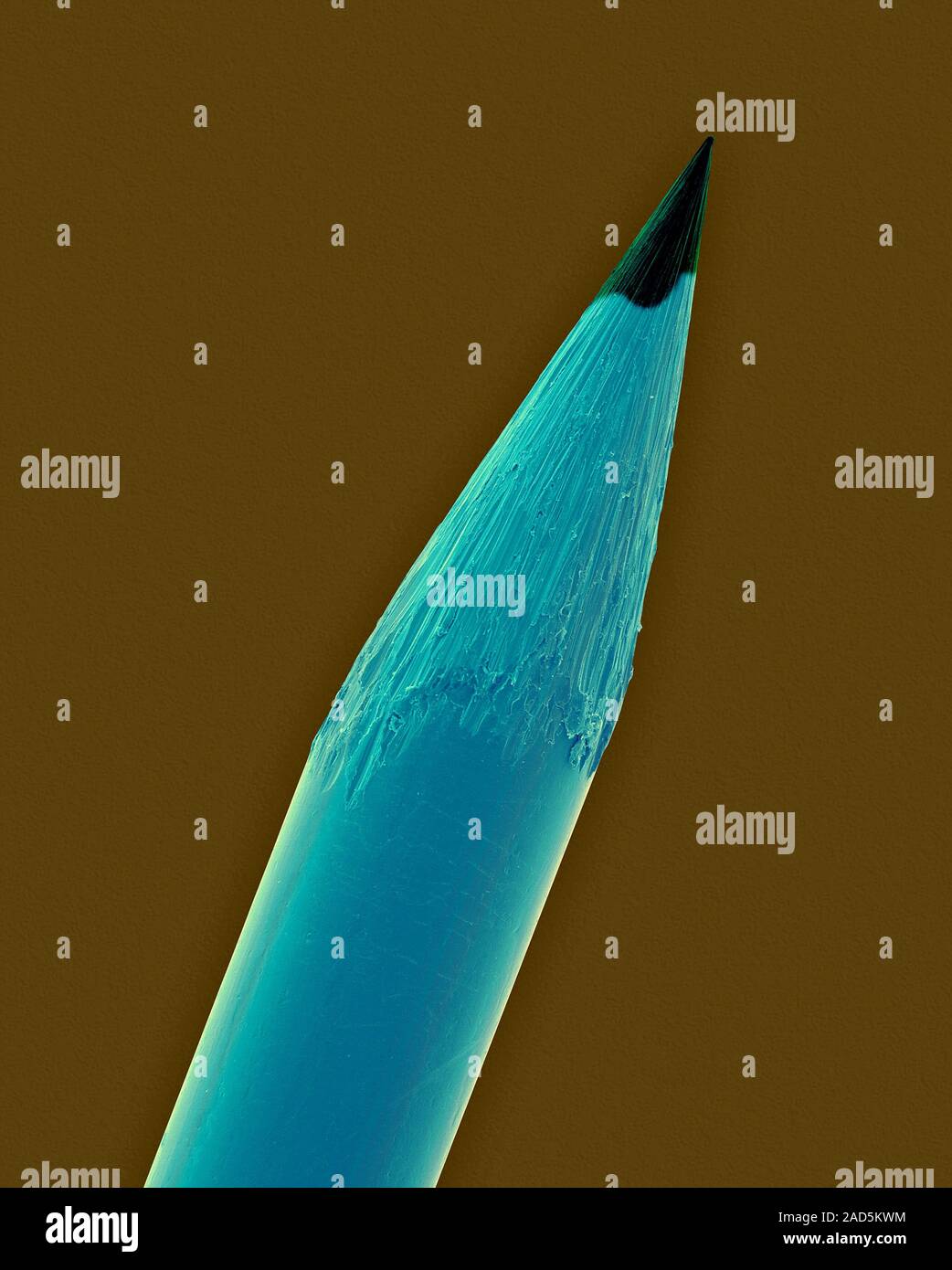 Coloured scanning electron micrograph (SEM) of Tip of a tattoo needle ...