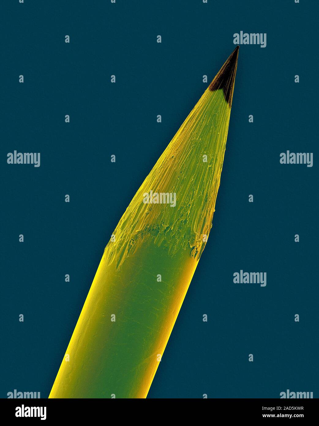 Coloured scanning electron micrograph (SEM) of Tip of a tattoo needle ...