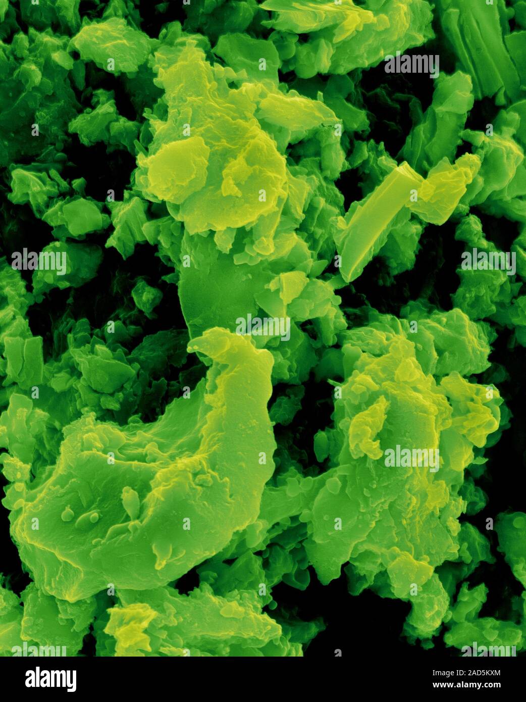 Coloured scanning electron micrograph (SEM) of Activated carbon ...