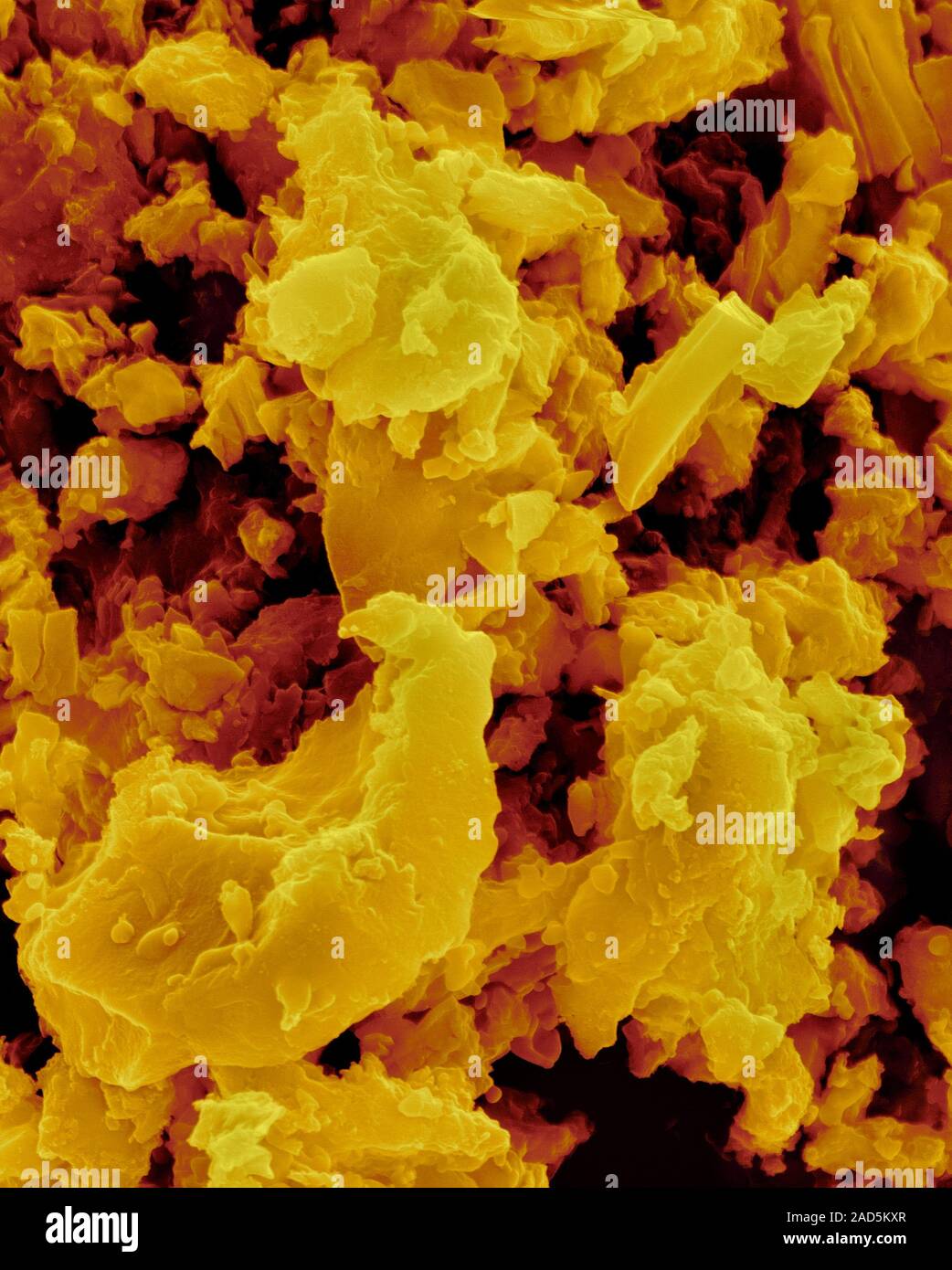 Coloured scanning electron micrograph (SEM) of Activated carbon ...