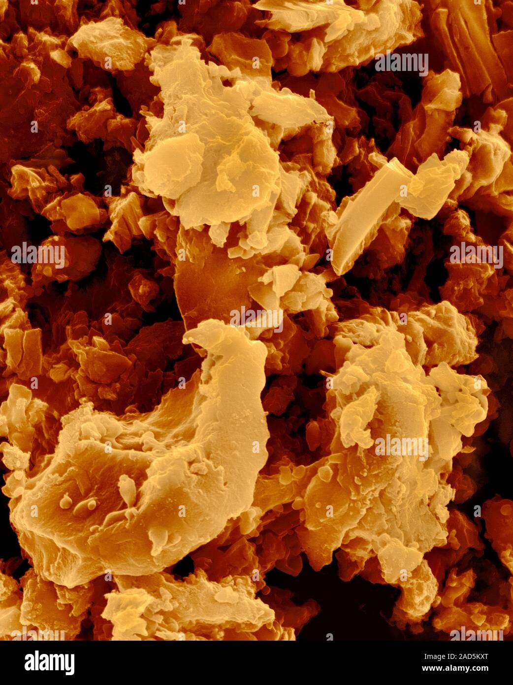 Coloured scanning electron micrograph (SEM) of Activated carbon ...