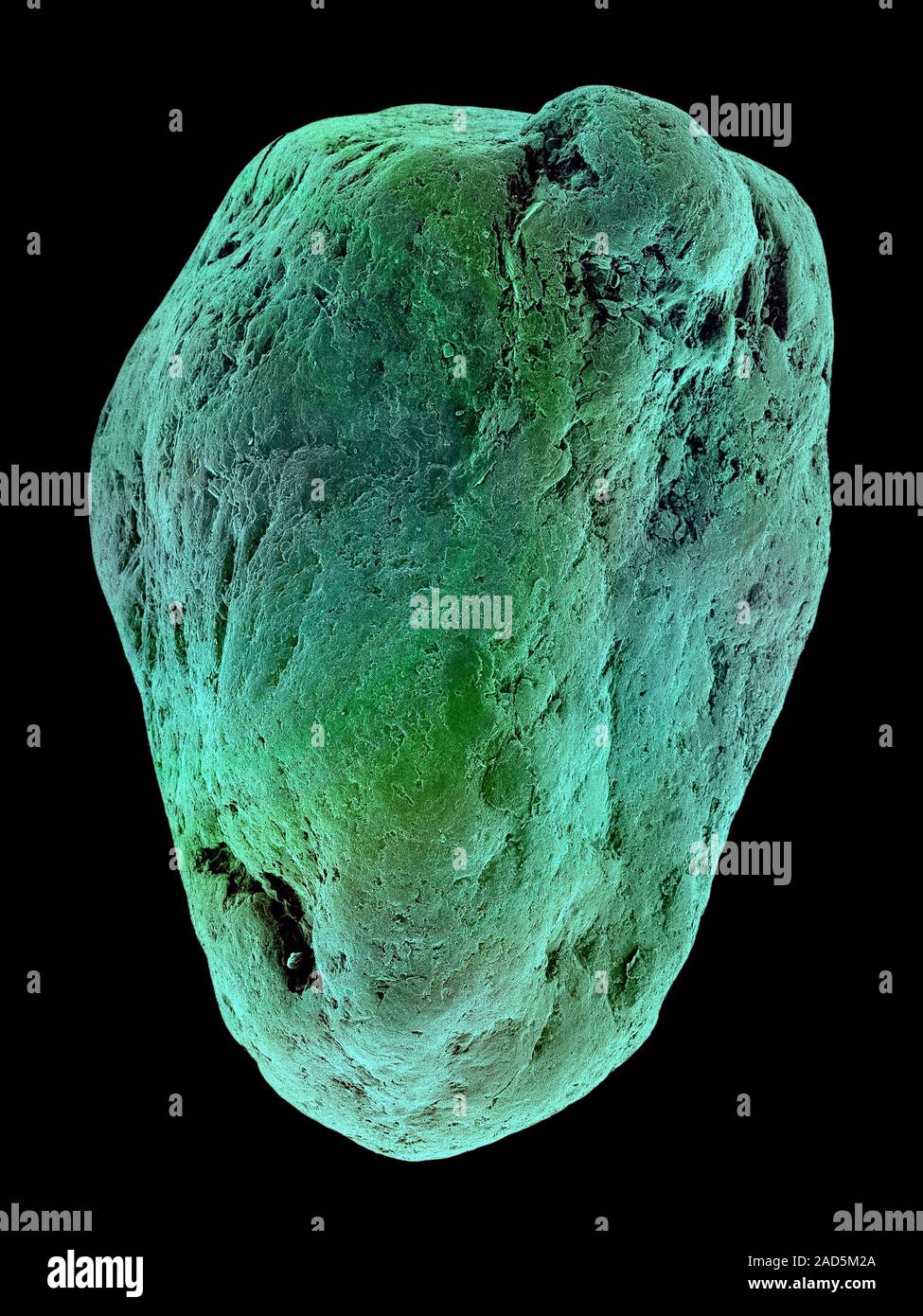 Coloured scanning electron micrograph (SEM) of Micrometeorite collected ...