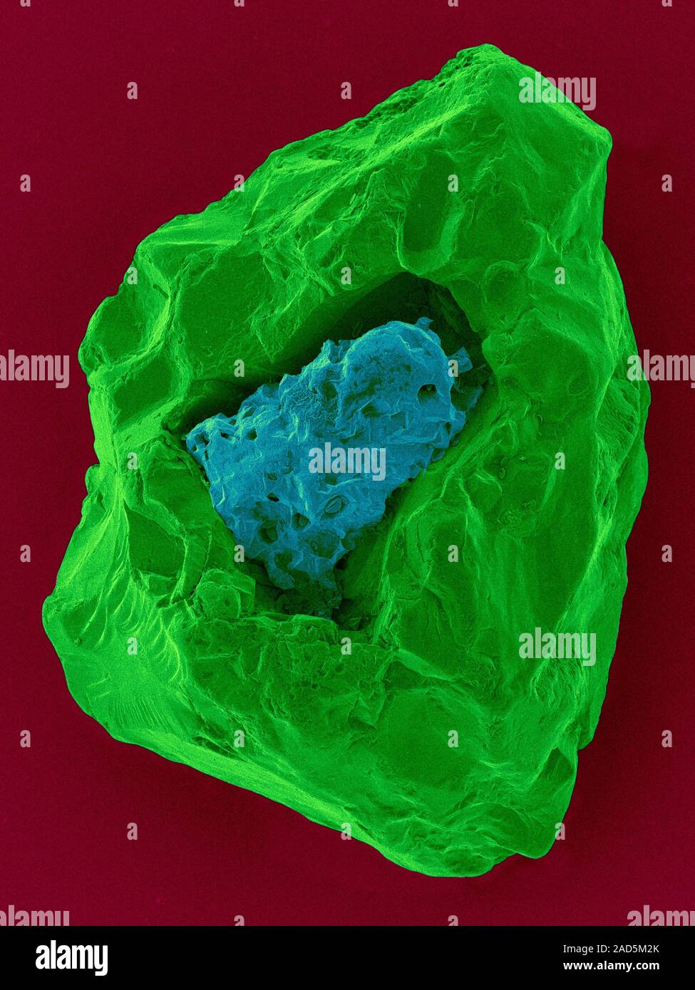 Coloured scanning electron micrograph (SEM) of Micrometeorite with ...