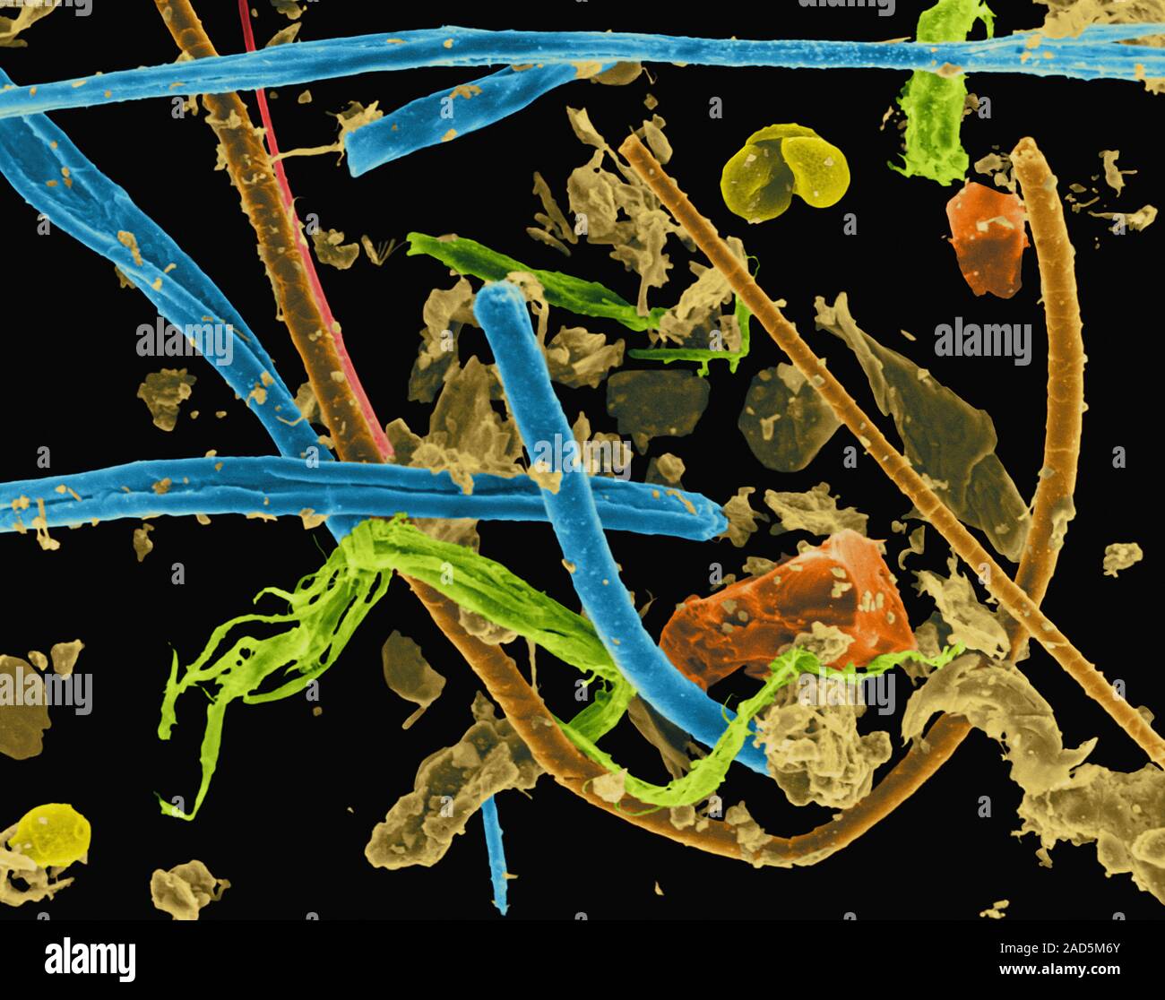 Coloured scanning electron micrograph (SEM) of House dust. Components ...