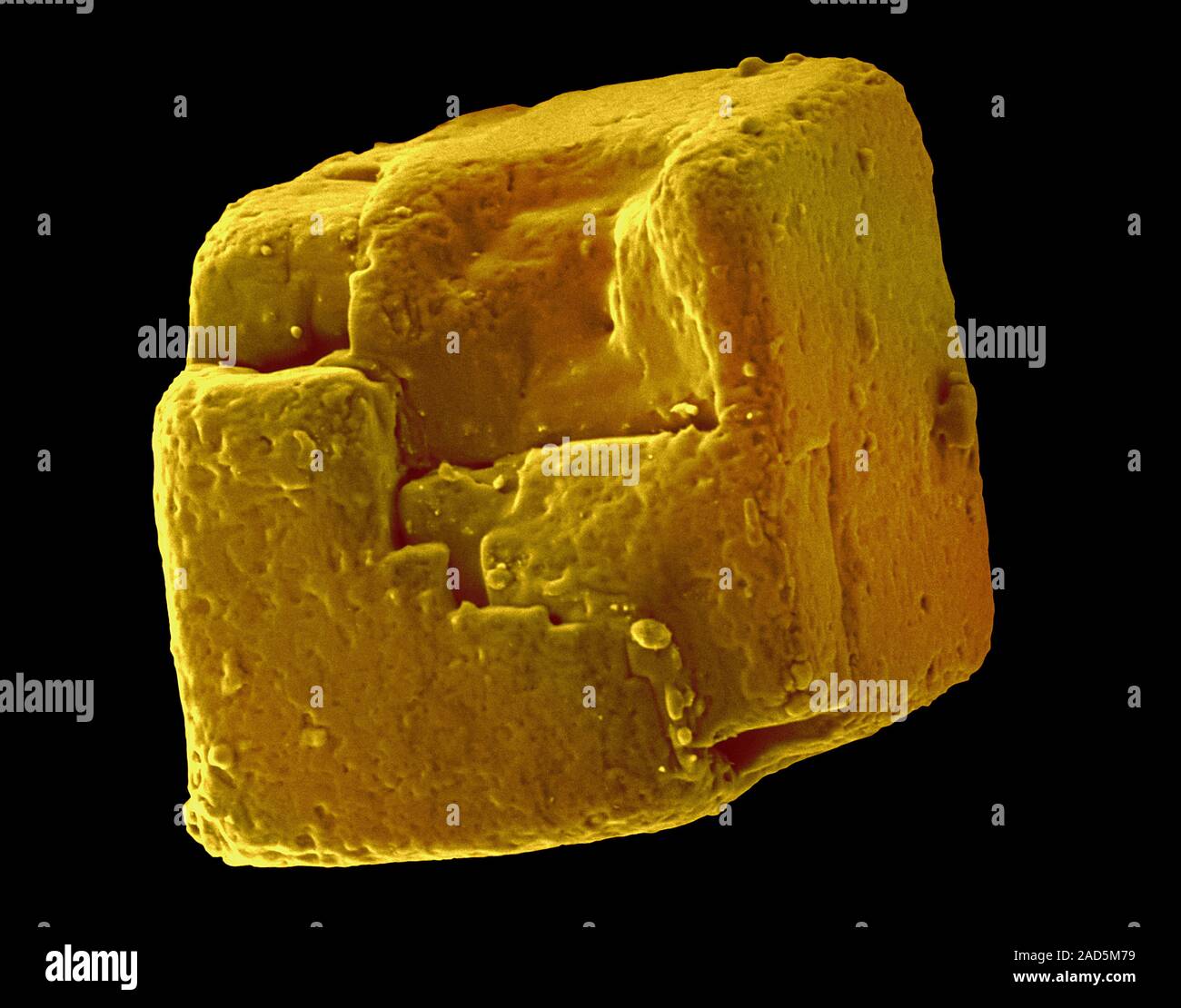 Coloured scanning electron micrograph (SEM) of Table salt crystal (NaCl ...