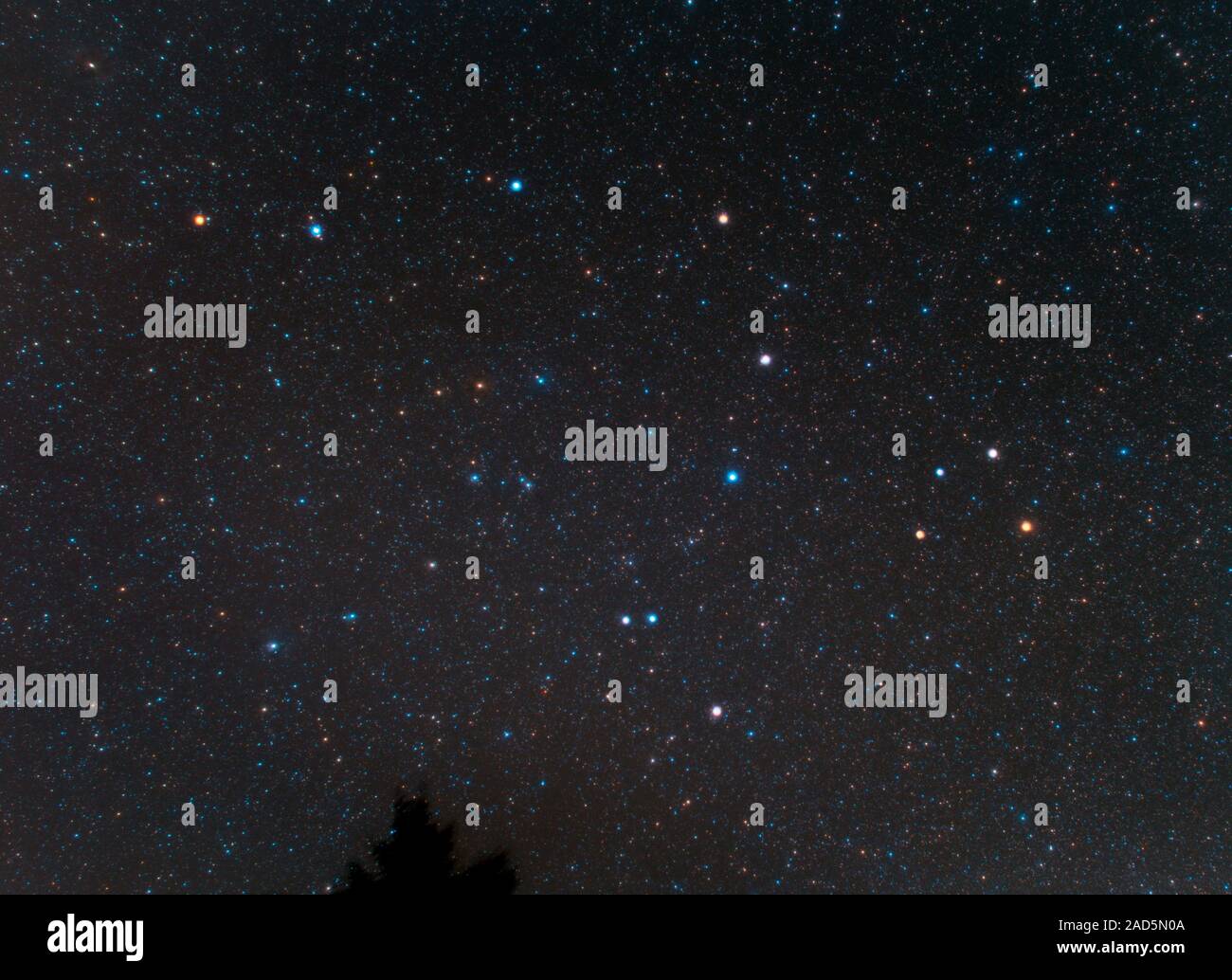 Constellation of Draco. Optical image of the stars of the northern ...