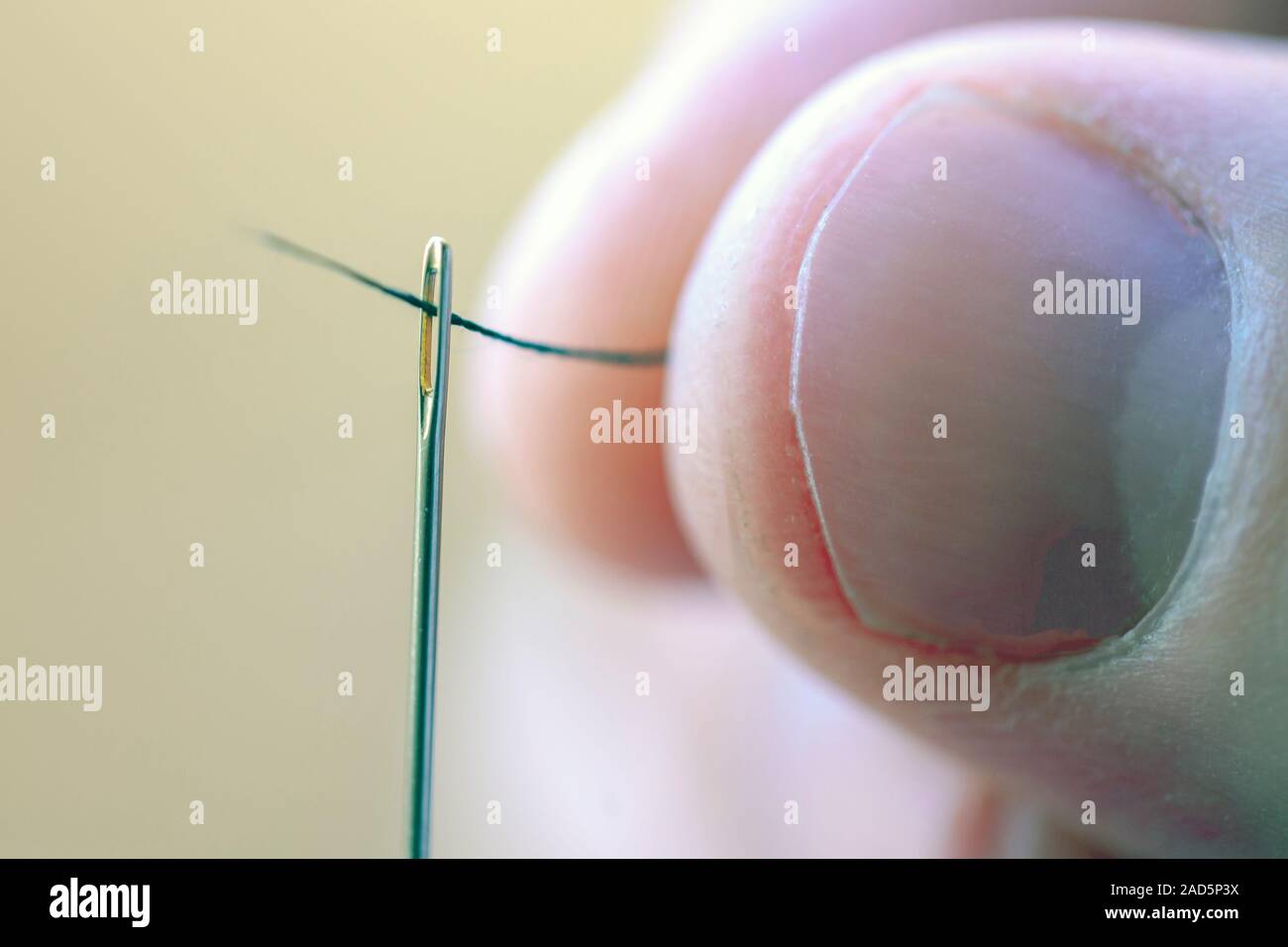 Thread through needle hi-res stock photography and images - Alamy