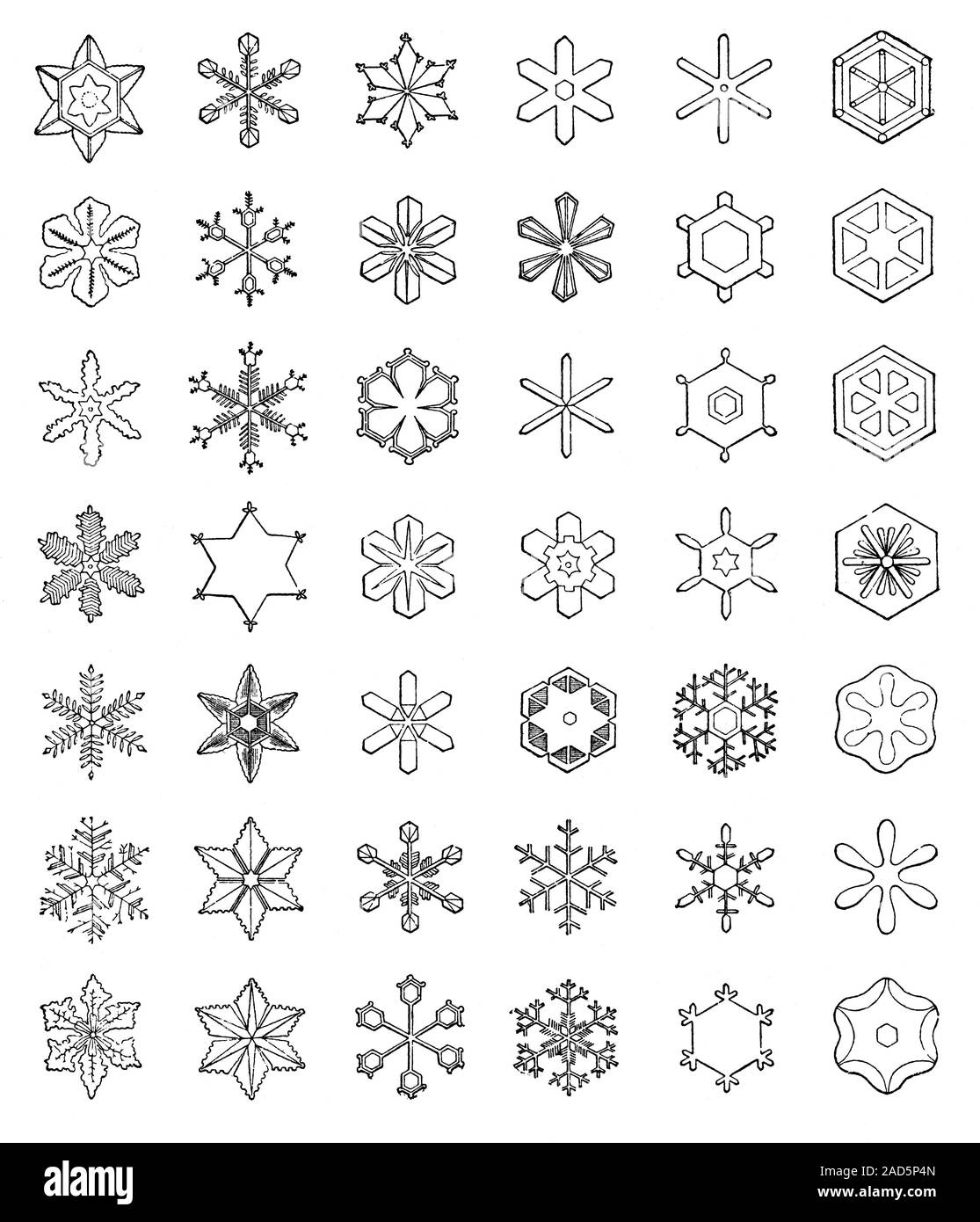 Snowflake patterns. 19th-century illustration of different patterns of ...