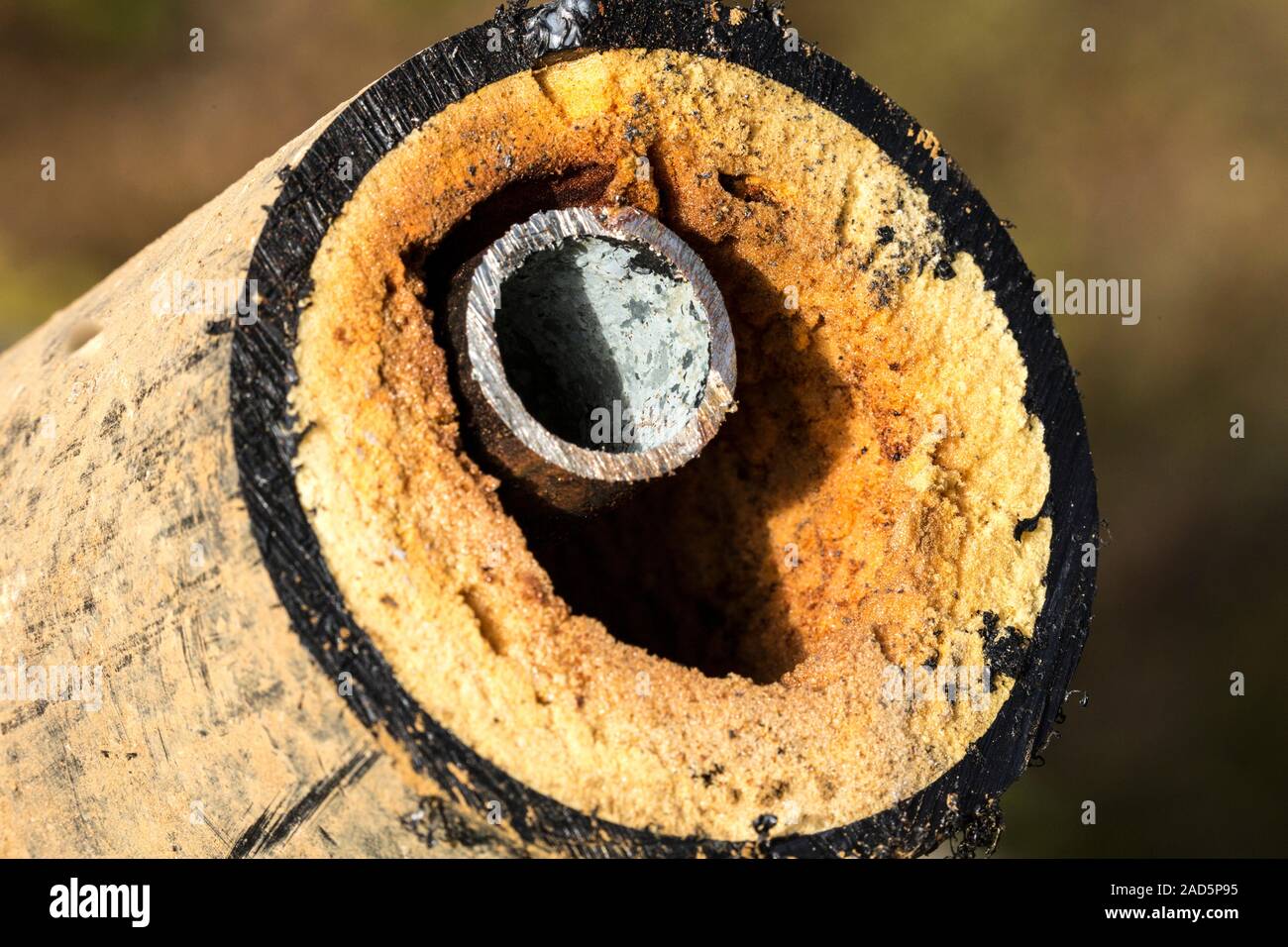 Cross section of 40 year old natural hot water pipe, Reykjavik Iceland ...