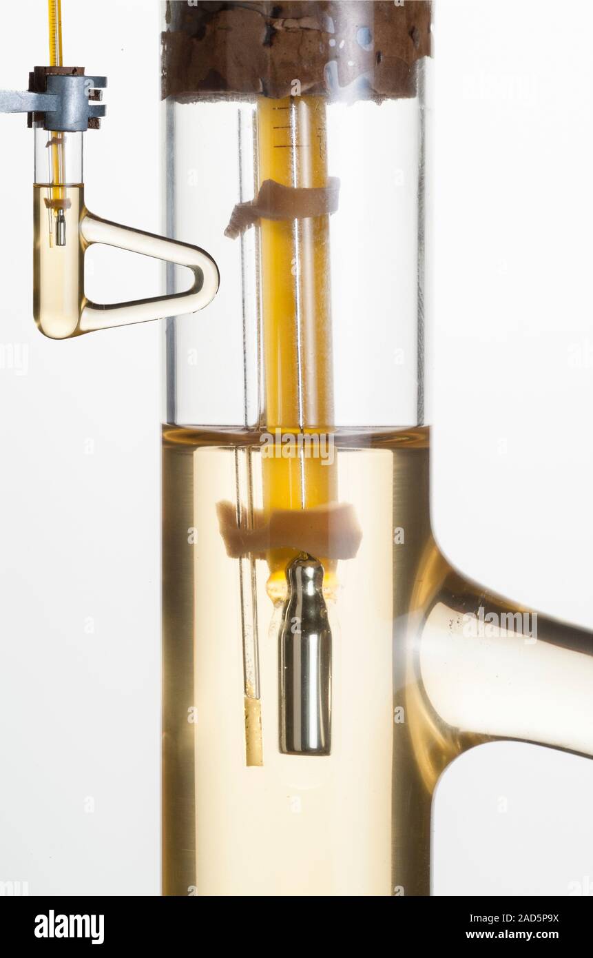 Finding a melting point. A Thiele tube is set up to discover the ...