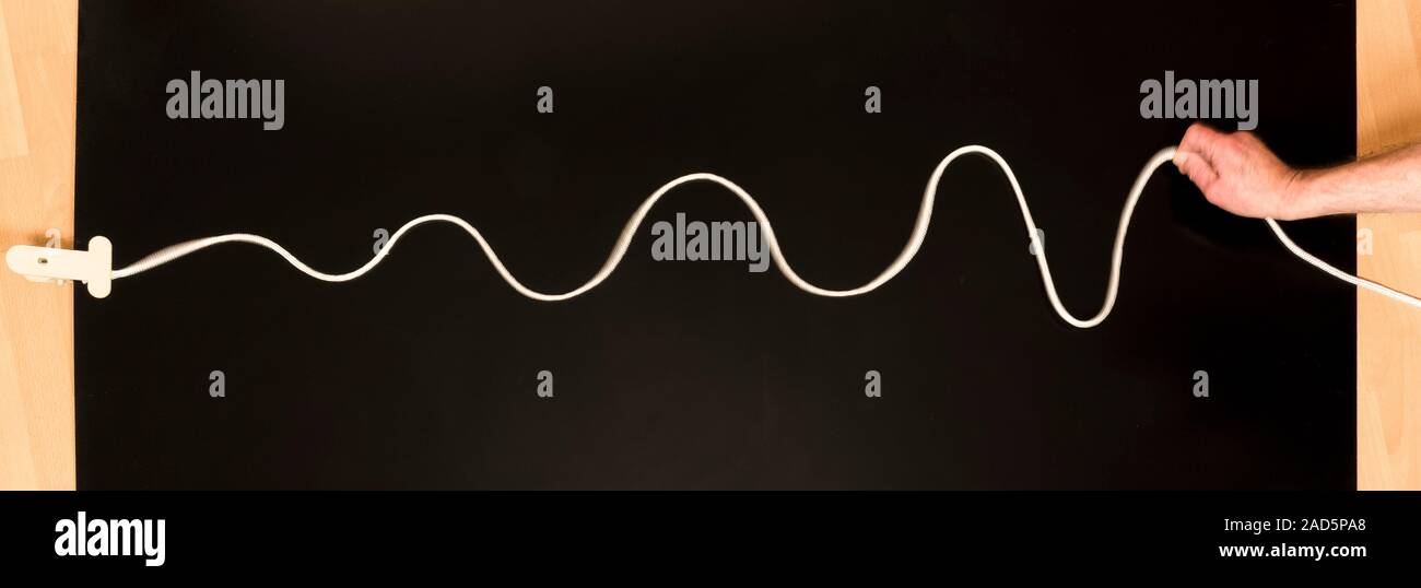 Transverse Wave Rope Regarding The Transverse Wave In The Figure, What