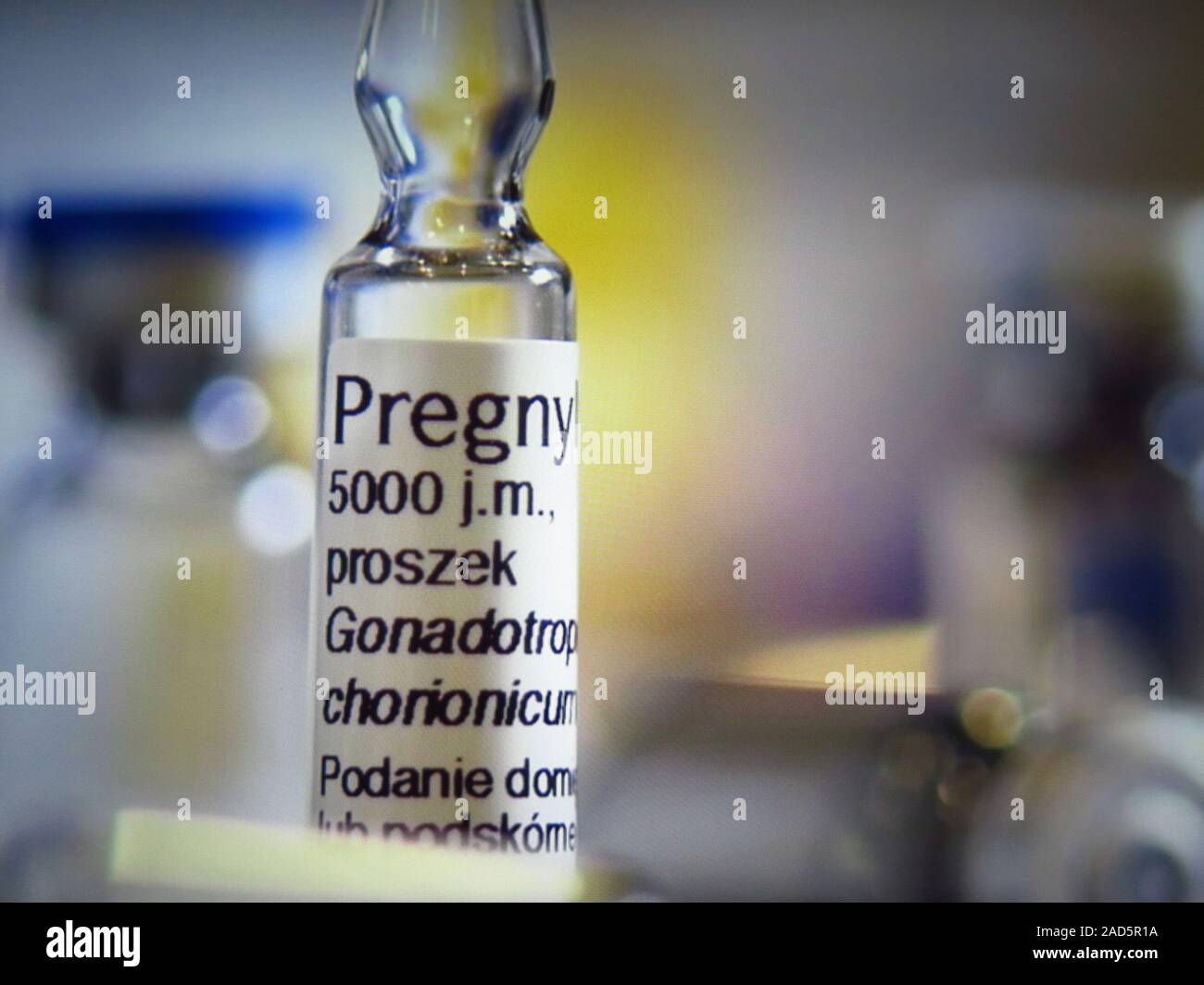 Human chorionic gonadotrophin. Ampule of human chorionic gonadotrophin ...