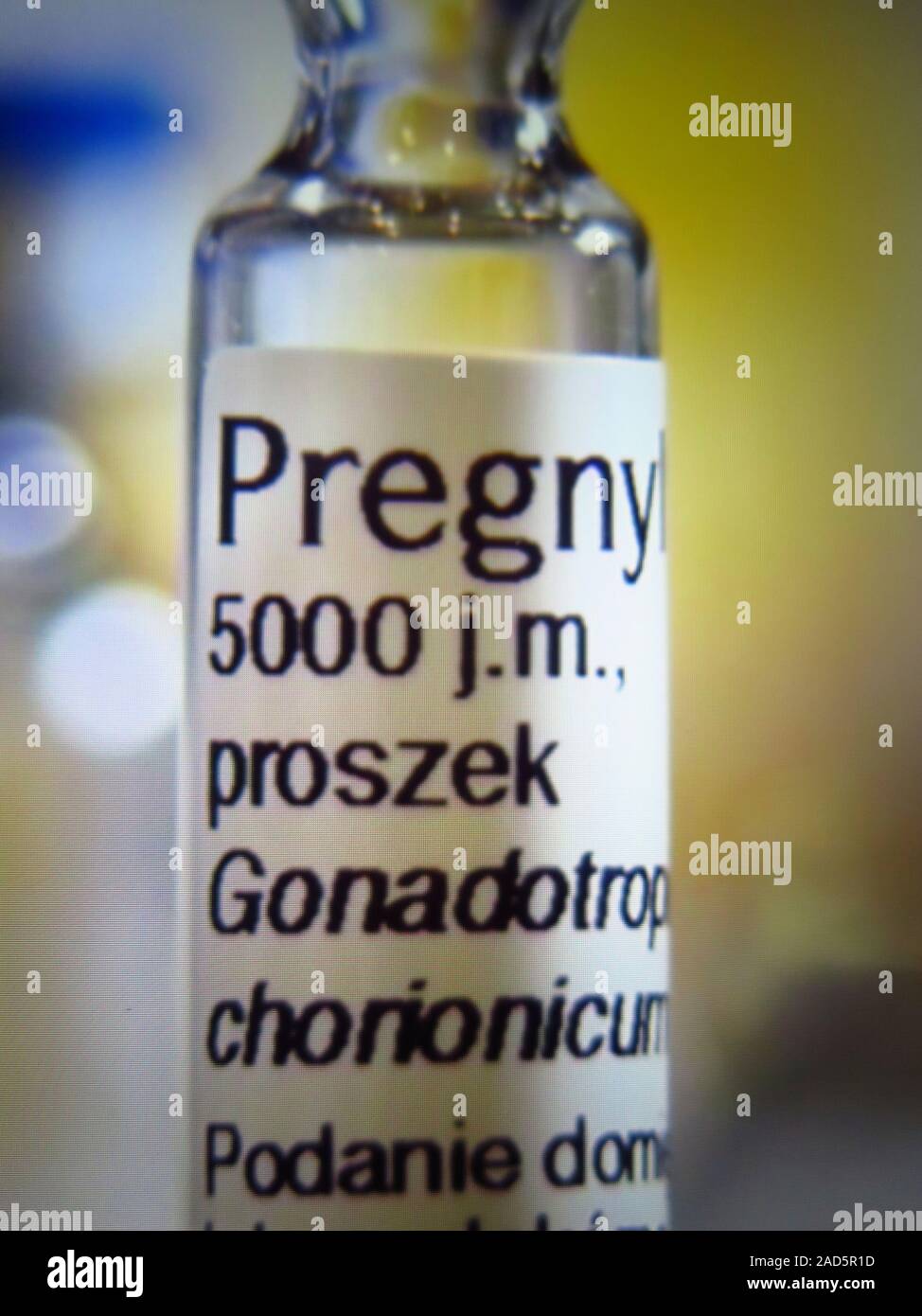Human chorionic gonadotrophin. Ampoule of human chorionic gonadotrophin ...